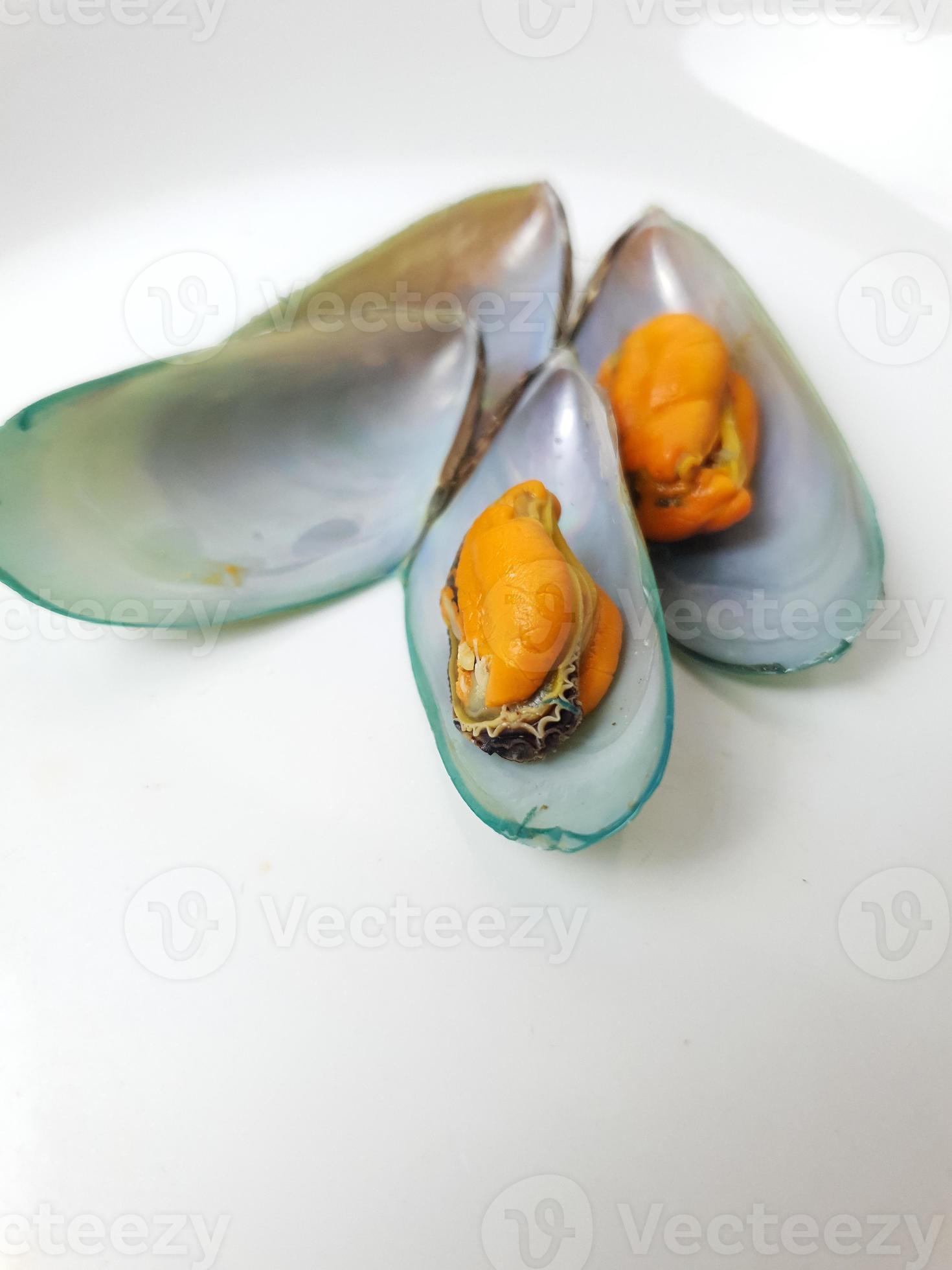 Green Mussel On A Plate On A White Background Fresh New Zealand Mussel Or Perna Canaliculus On