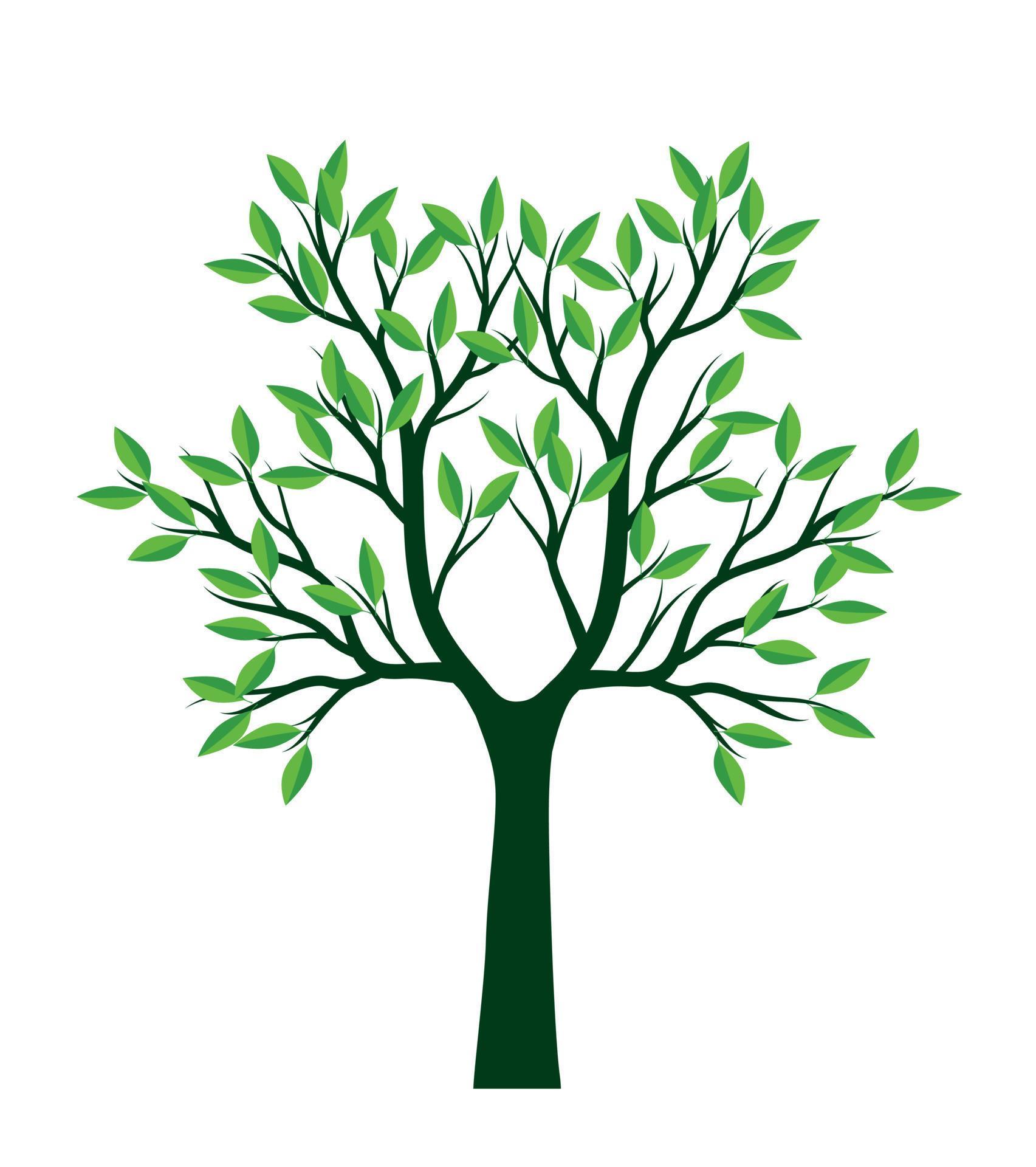 Shape of green Tree with Leaves. Vector outline Illustration. 22432342 ...