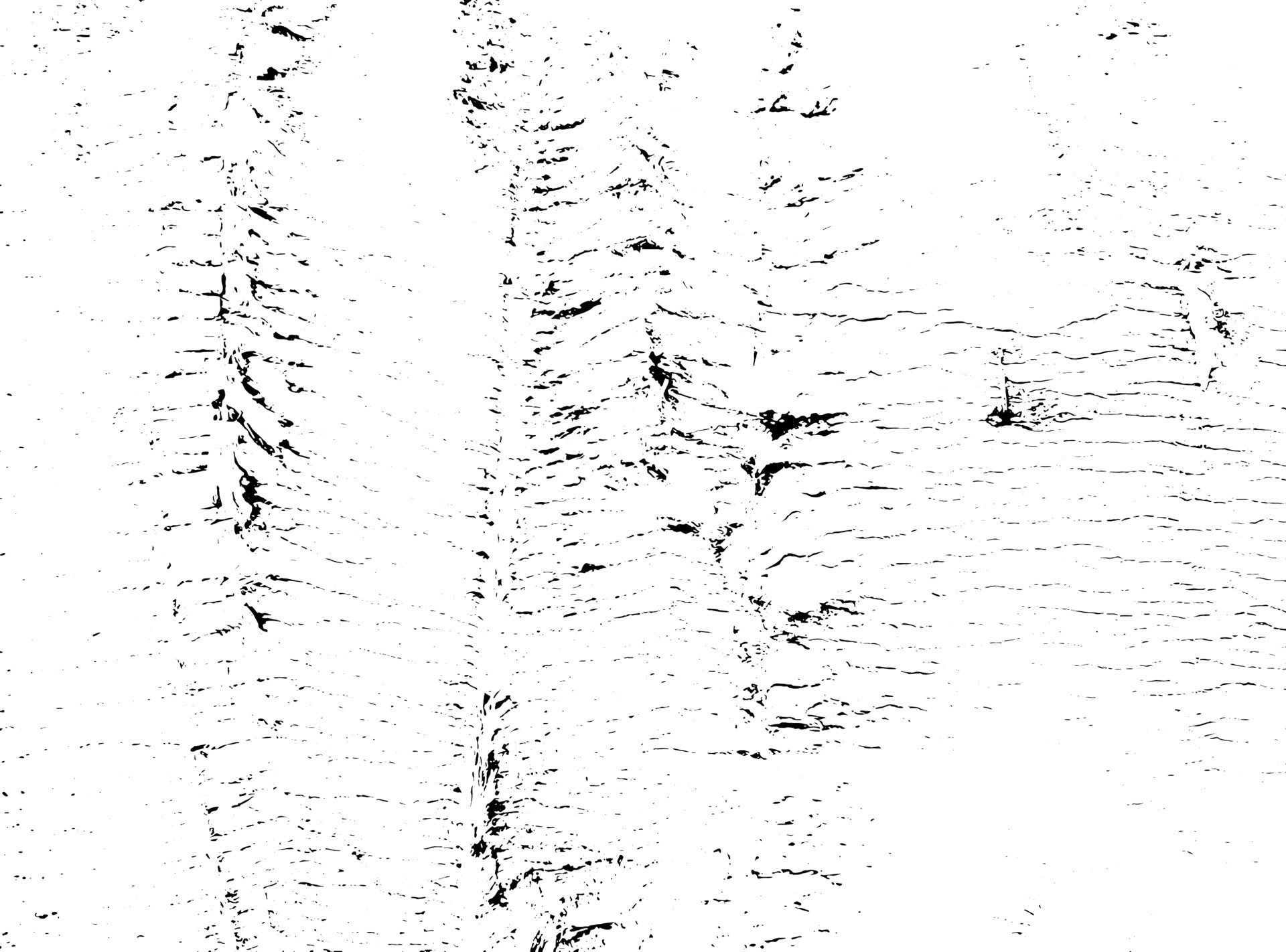 Tree Bark Pattern Vector Art, Icons, and Graphics for Free Download