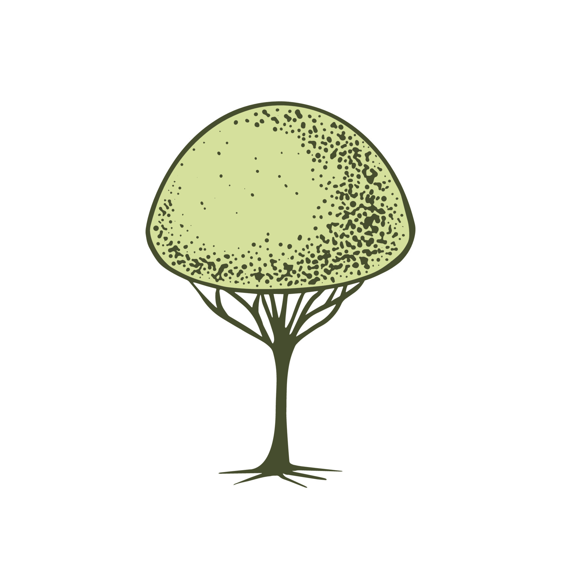 Sketch Of Topiary Coniferous Trees Trimmed Thuja Hemisphere On A Trunk