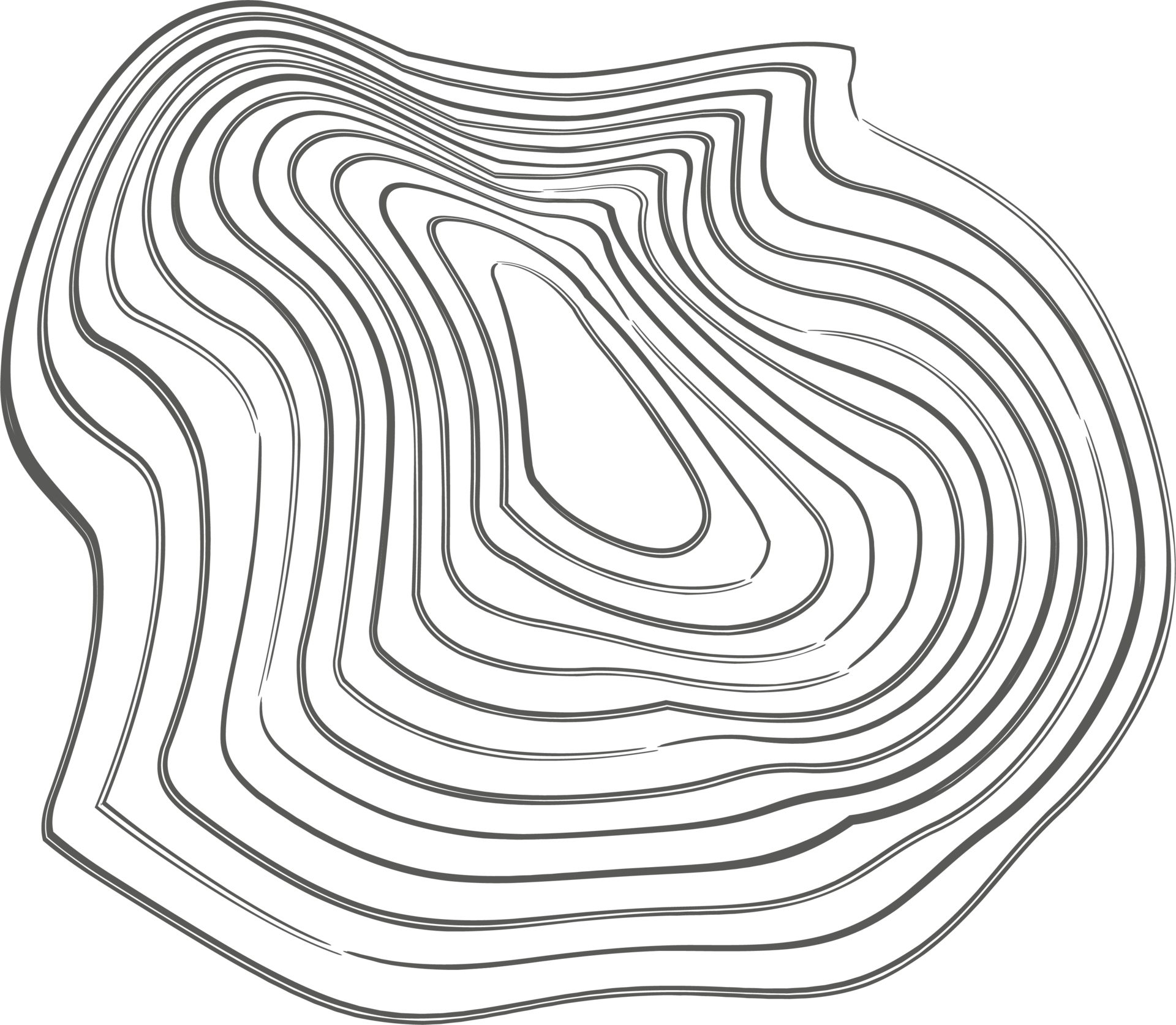 Tree Rings Organic Pattern Topography Line Circle Nature Wavy Contour Shape Topographic Icon