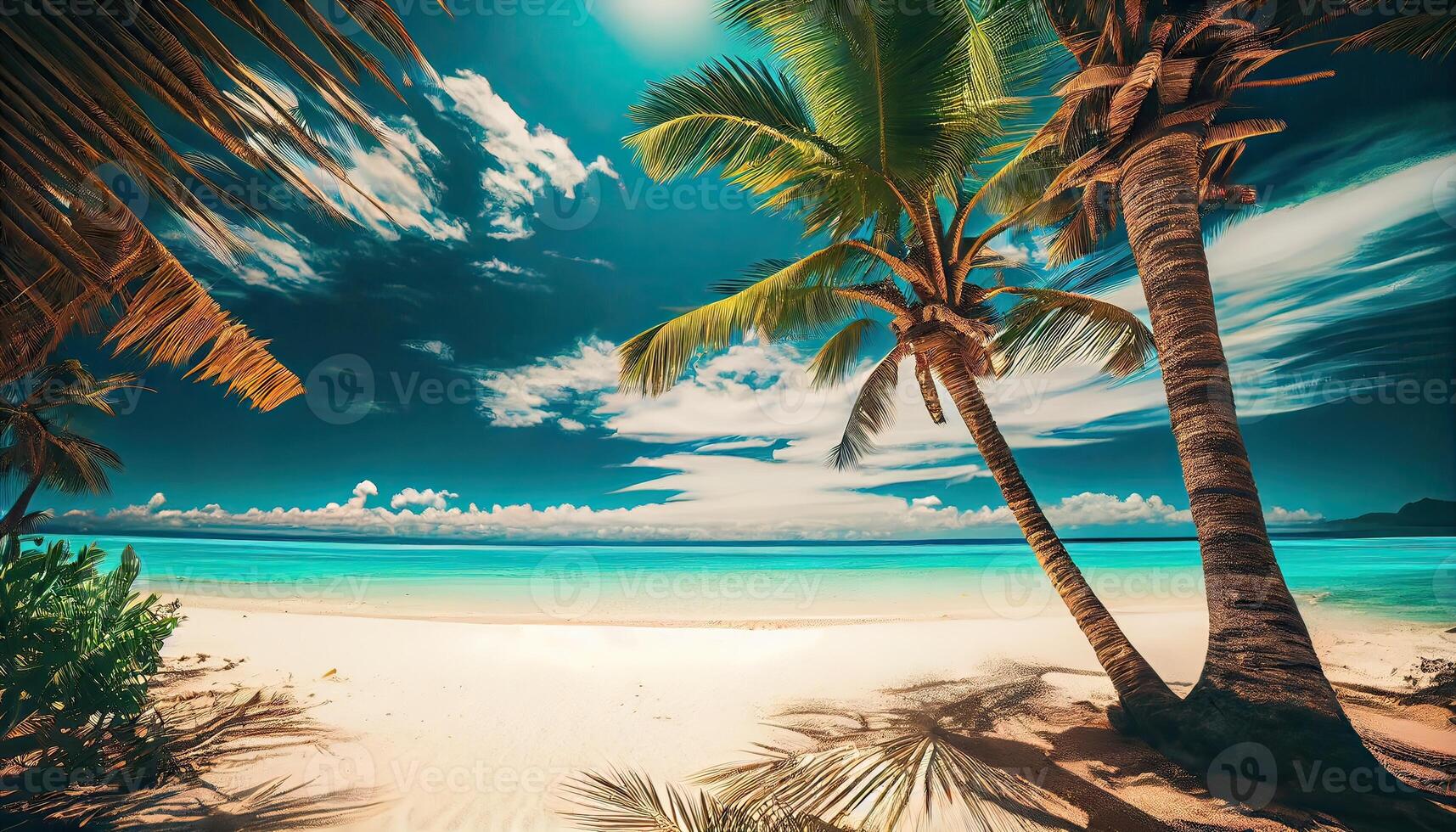 Beautiful Tropical Beach With White Sand Palm Trees Turquoise Ocean