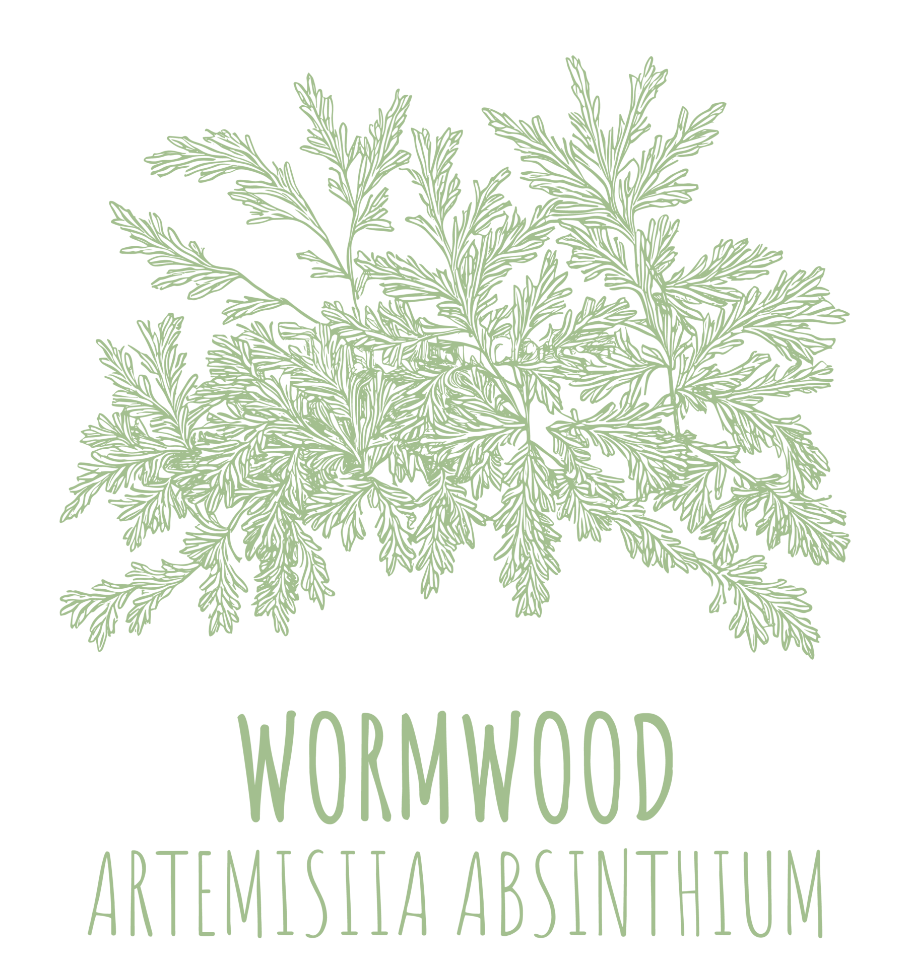 Vector Drawings Of Wormwood The Image Was Created Using Generative AI vector-drawings-of-wormwood-the-image-was-created-using-generative-ai
