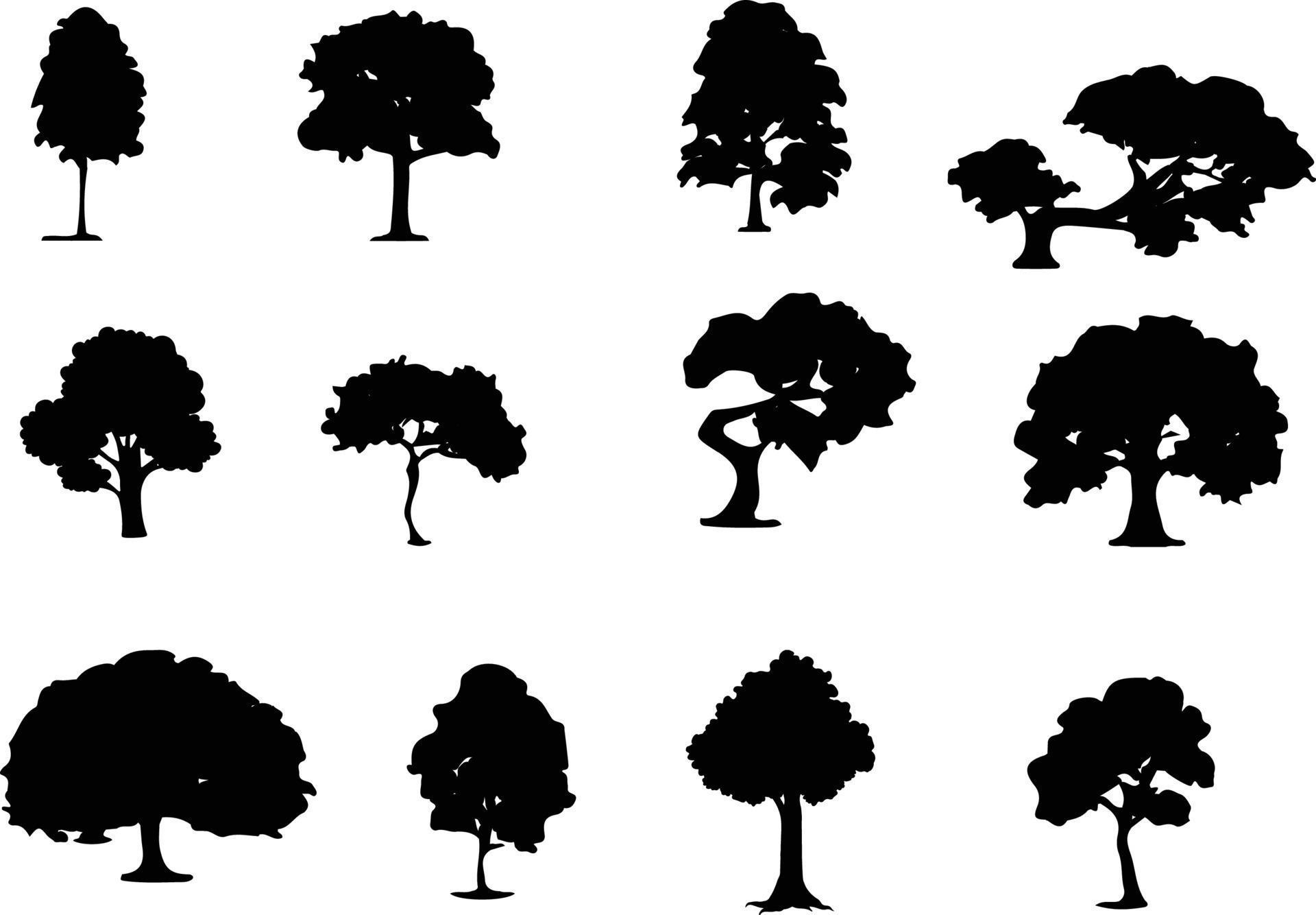 tree silhouettes vector 22586050 Vector Art at Vecteezy