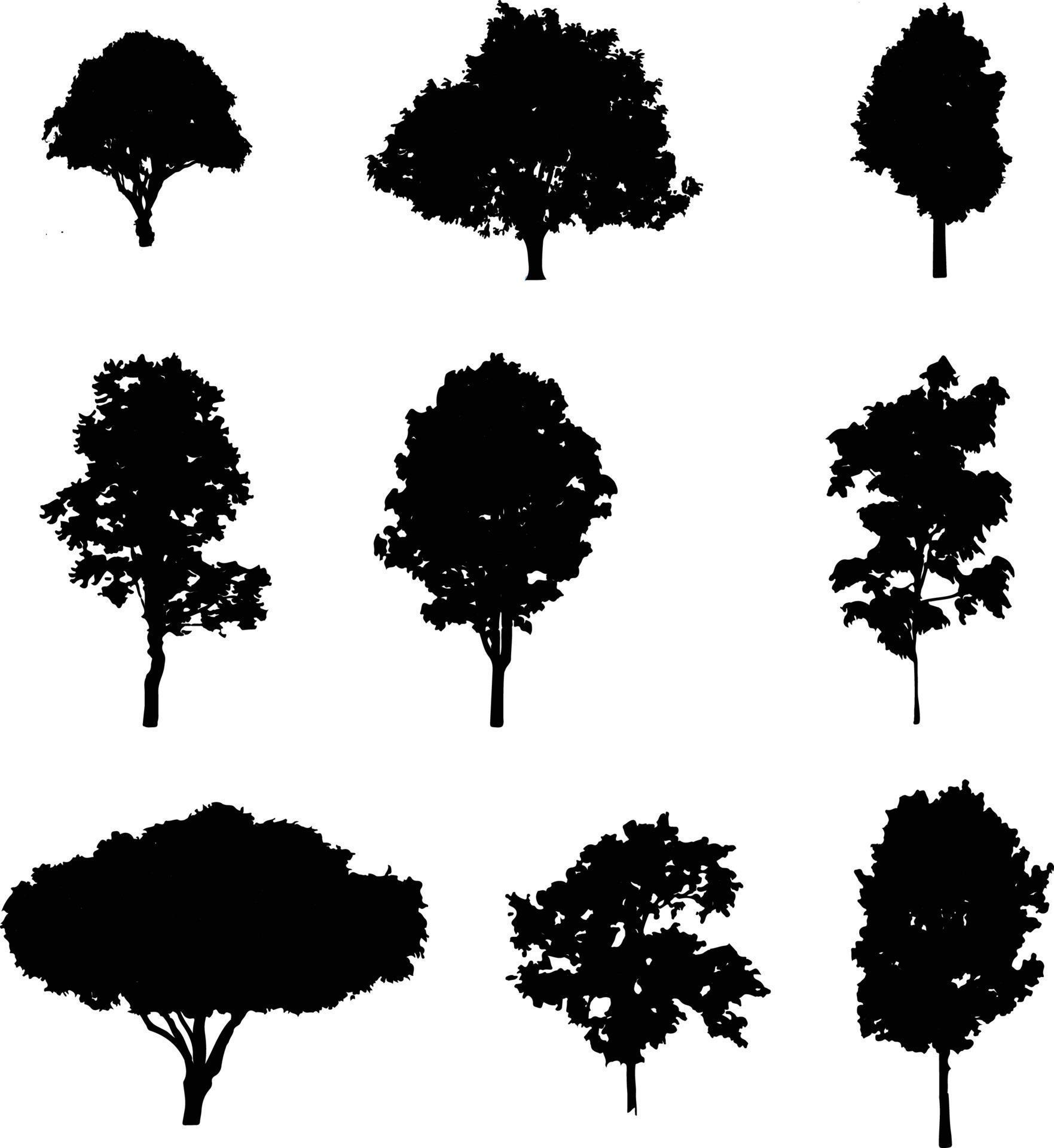 tree silhouettes vector 22586052 Vector Art at Vecteezy