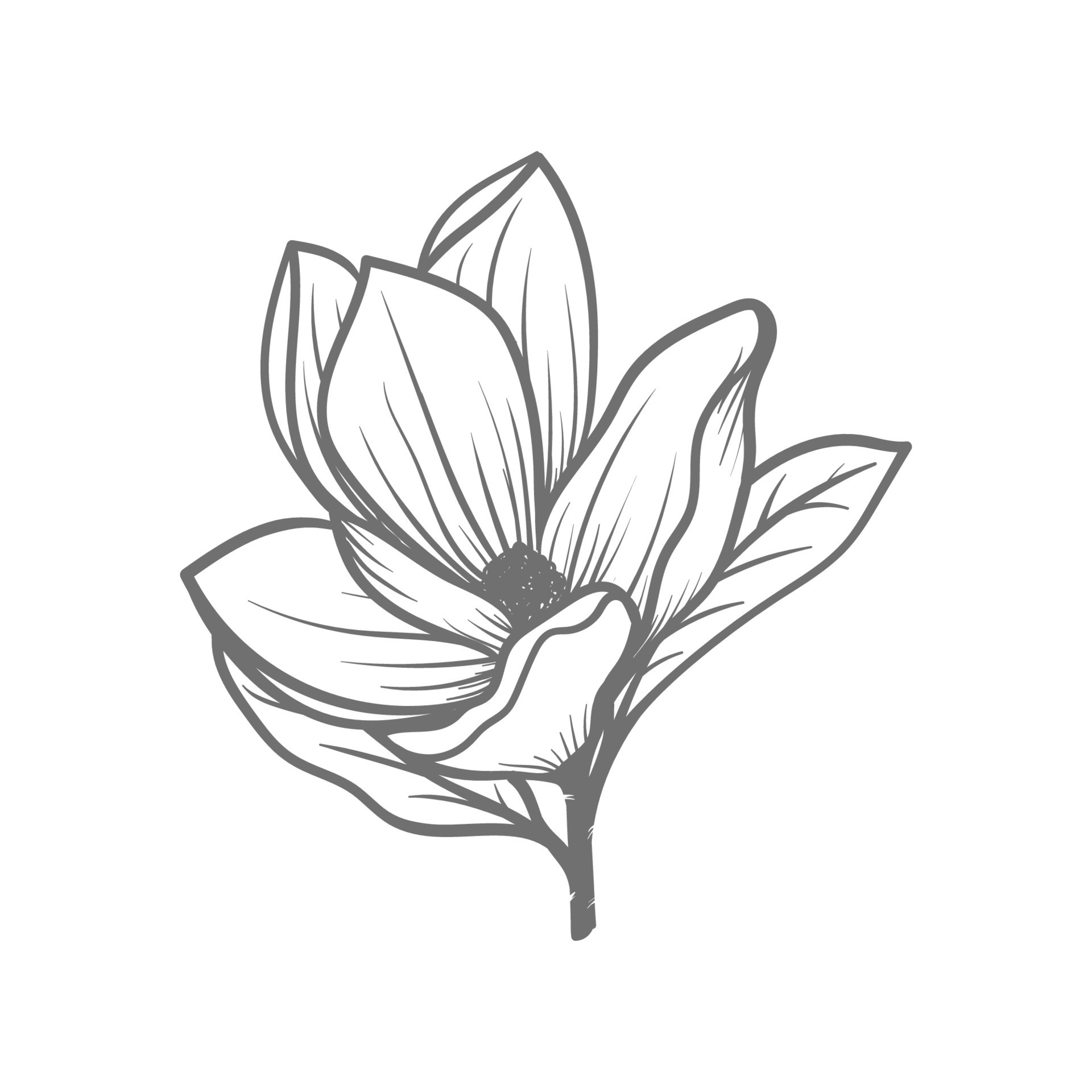 Adobe Illustrator Artwork 22587916 Vector Art At Vecteezy