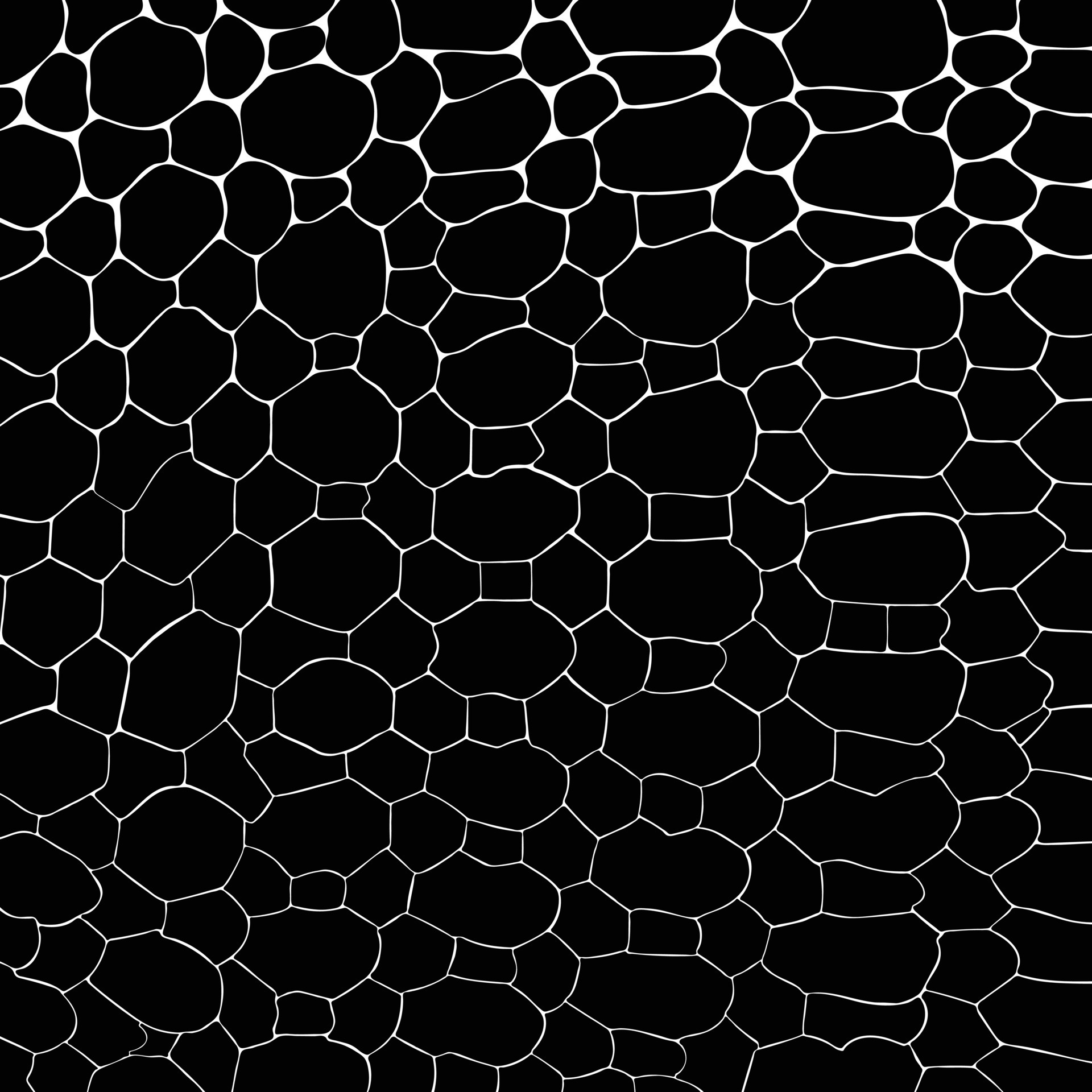 Vector black snake print pattern animal seamless. Snake skin abstract ... Vector black snake print pattern animal seamless. Snake skin abstract ...