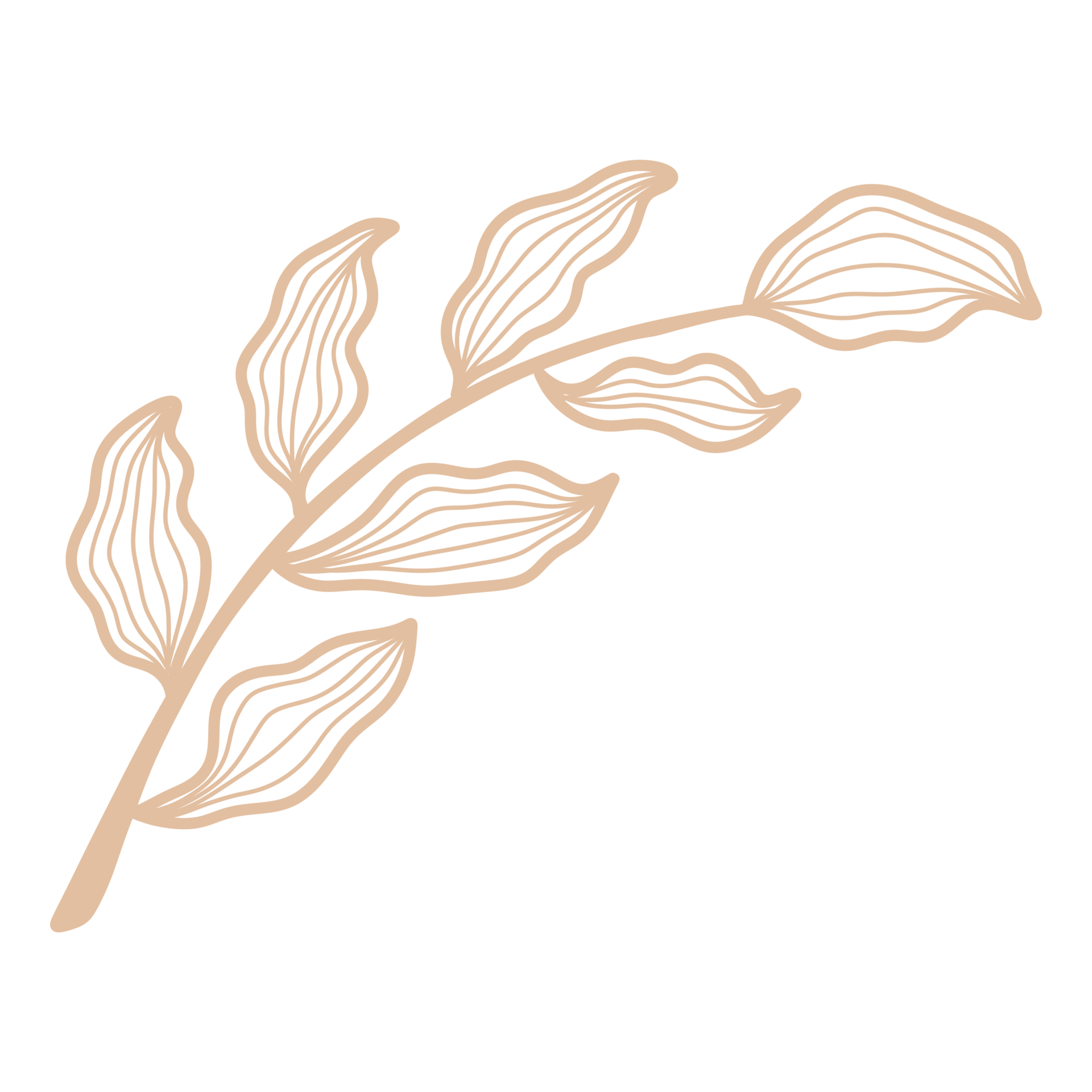 Line Art Leaf 22597638 Png
