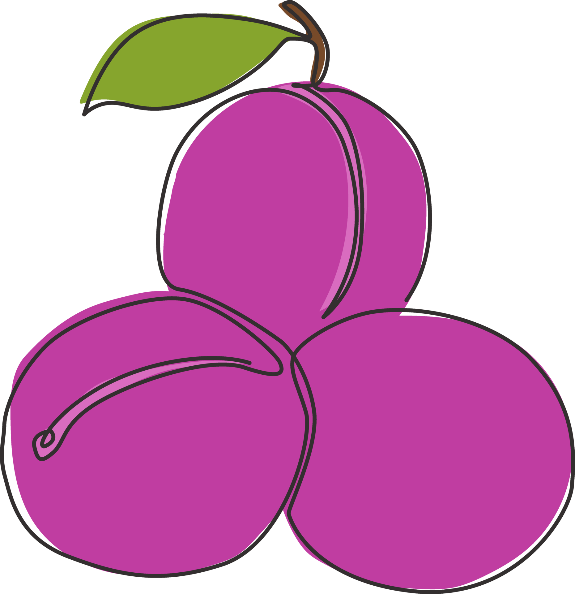 One single line drawing of whole healthy organic plum for orchard logo ...