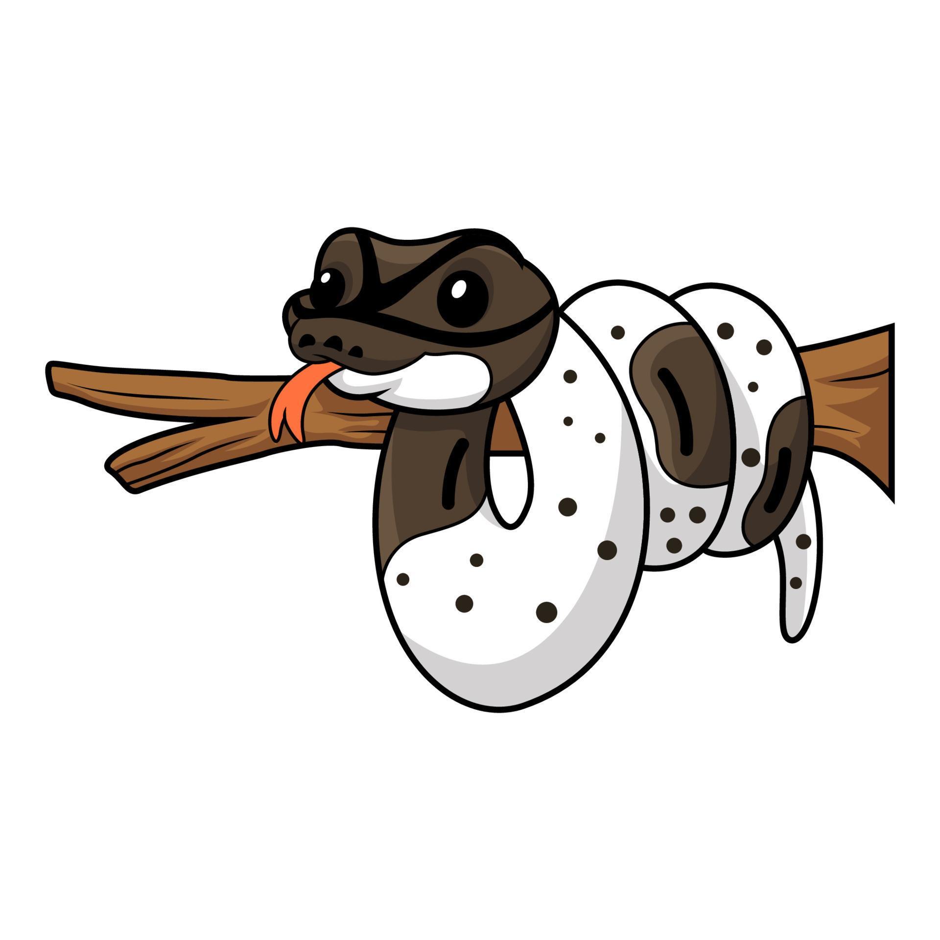 Cute oreo pied ball python cartoon on tree branch 22614062 Vector Art ...