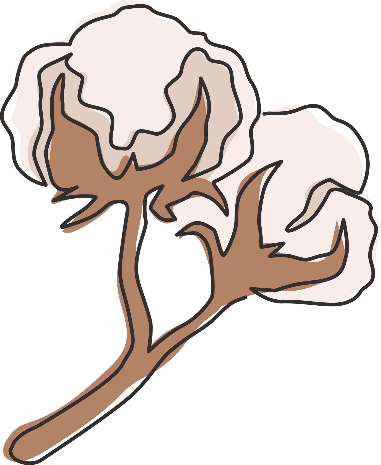One single line drawing of whole soft and fluffy cotton flower for ... One single line drawing of whole soft and fluffy cotton flower for ...