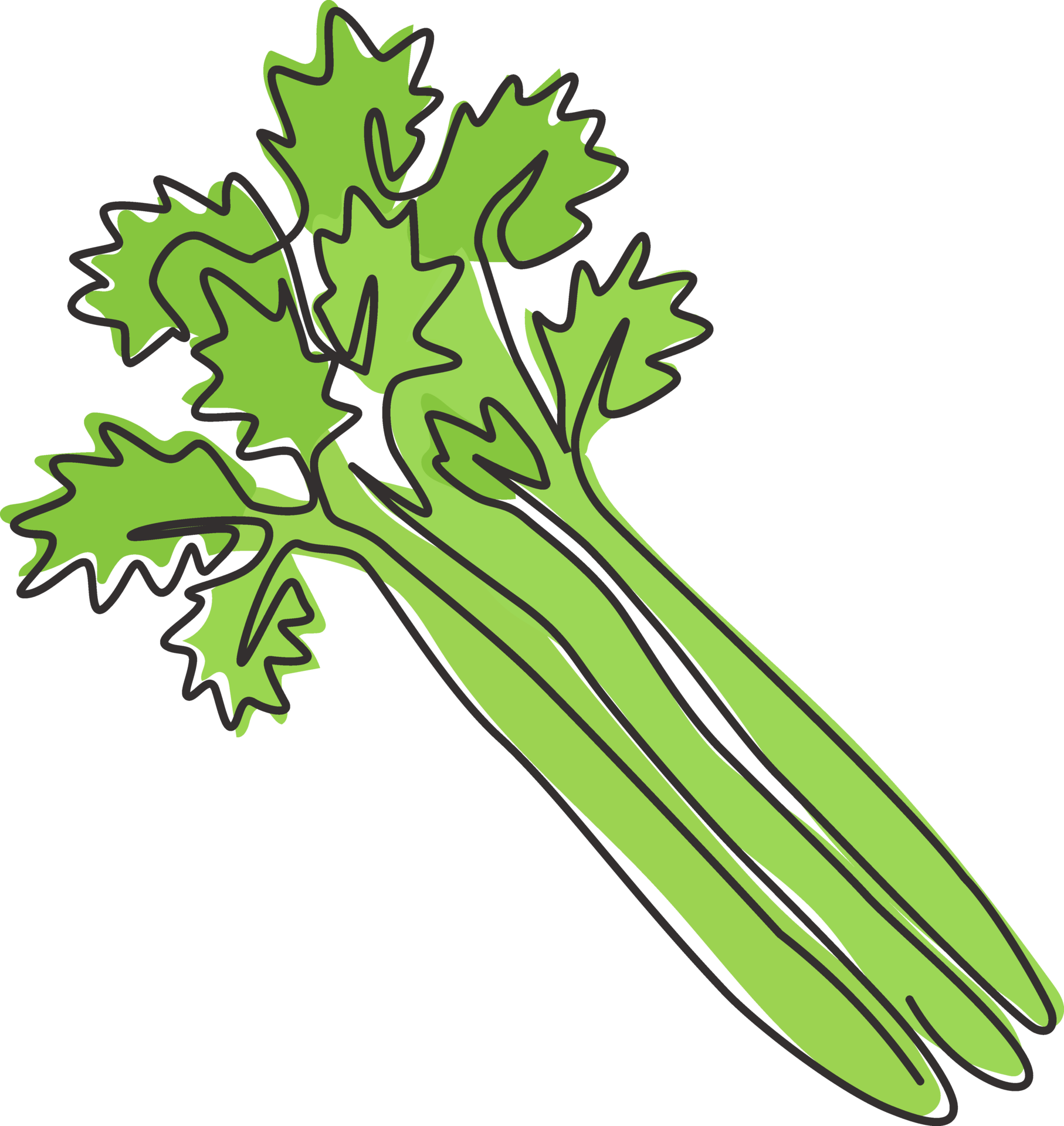 Green Celery
