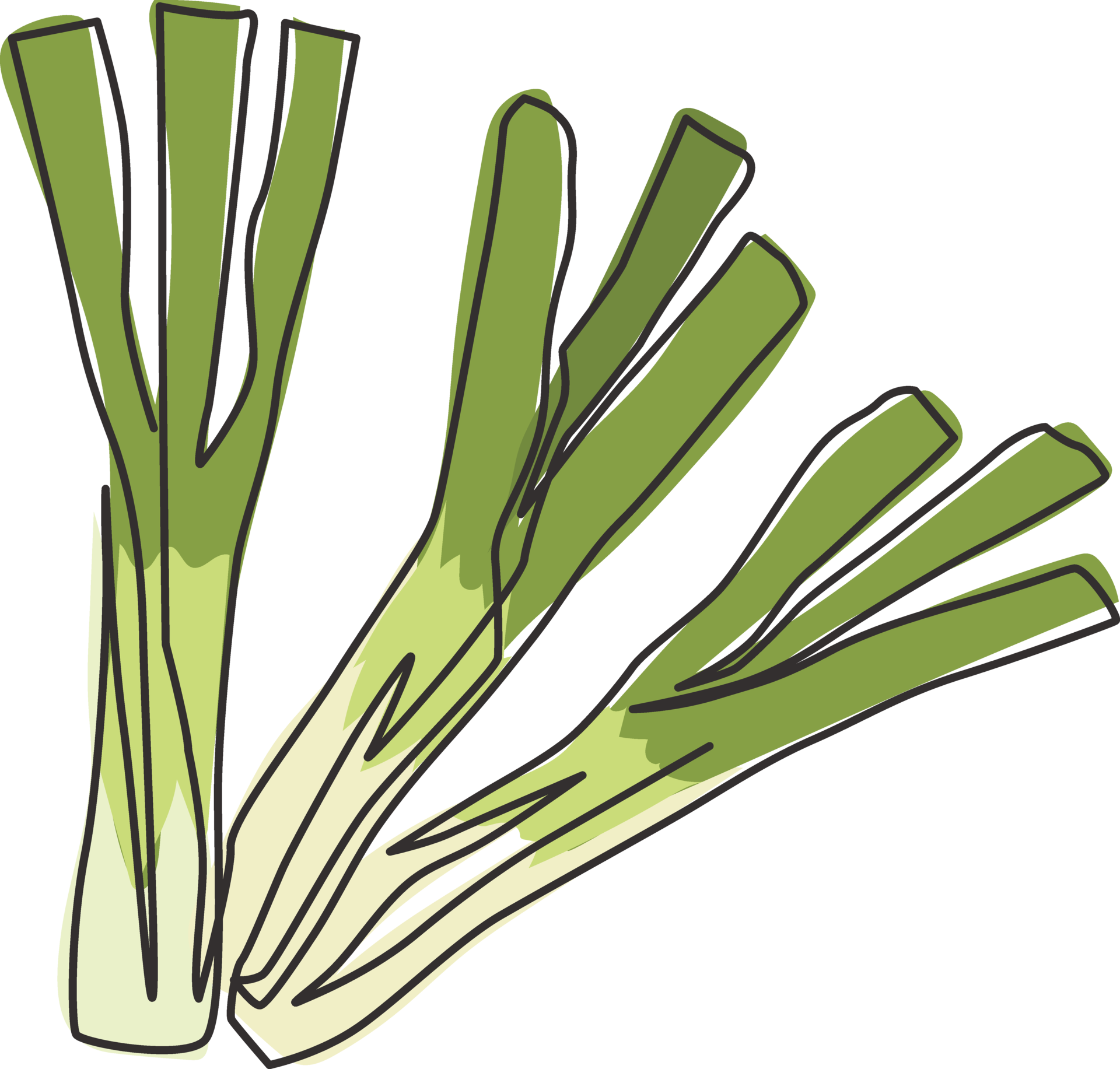 Free einzelne durchgehende Strichzeichnung eines ganzen Bündels von gesundem Bio-Lauch für die ...