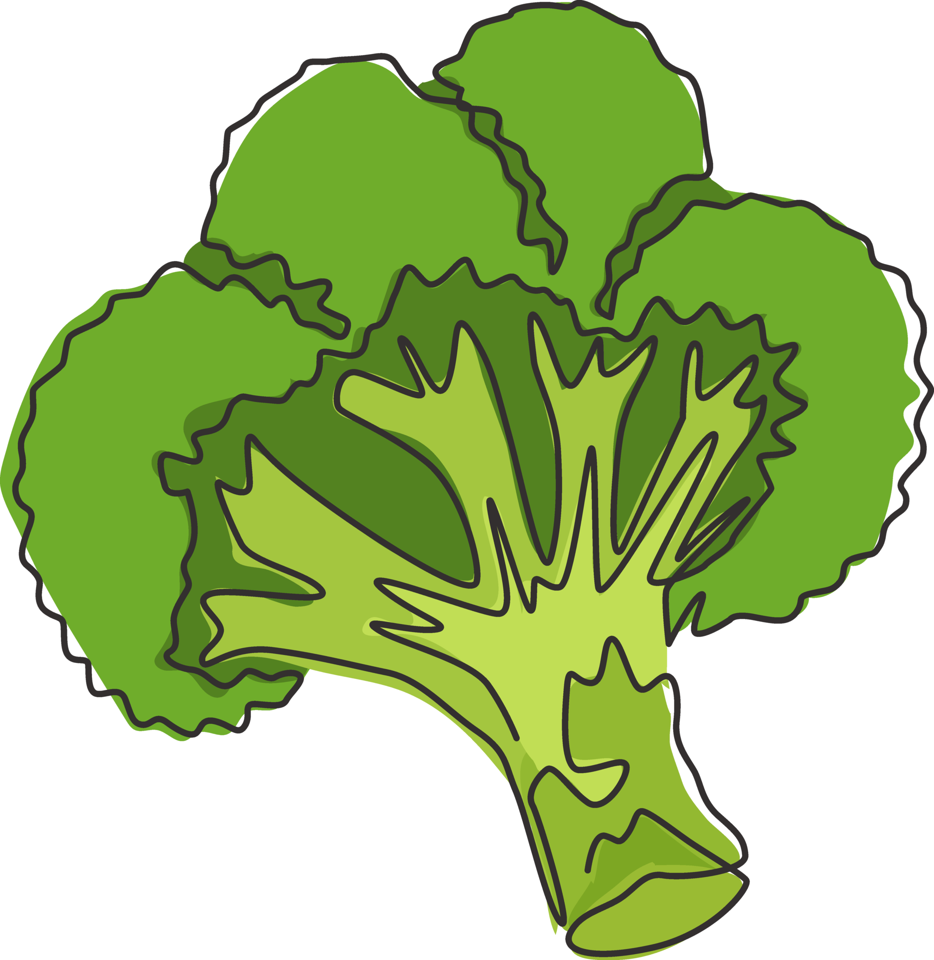 Free One Single Line Drawing Whole Healthy Organic Green Broccoli For Farm Logo Identity Fresh