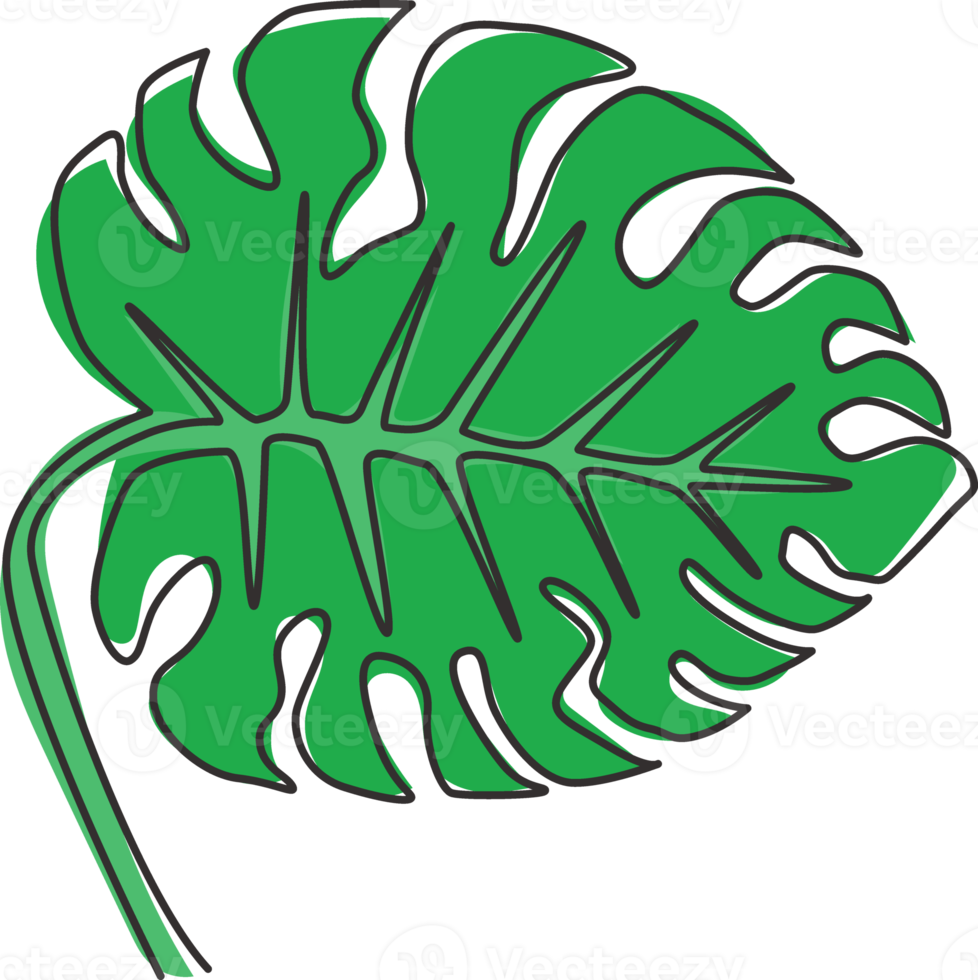 One Single Line Drawing Cute Beauty Tropical Leaf Monstera Plant