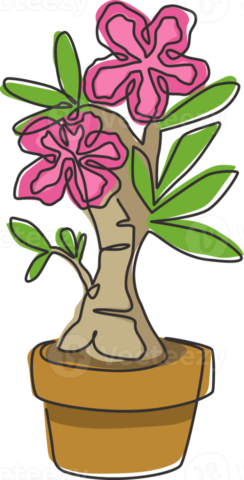 One Single Line Drawing Of Fresh Beauty Potted Adenium For Garden Logo
