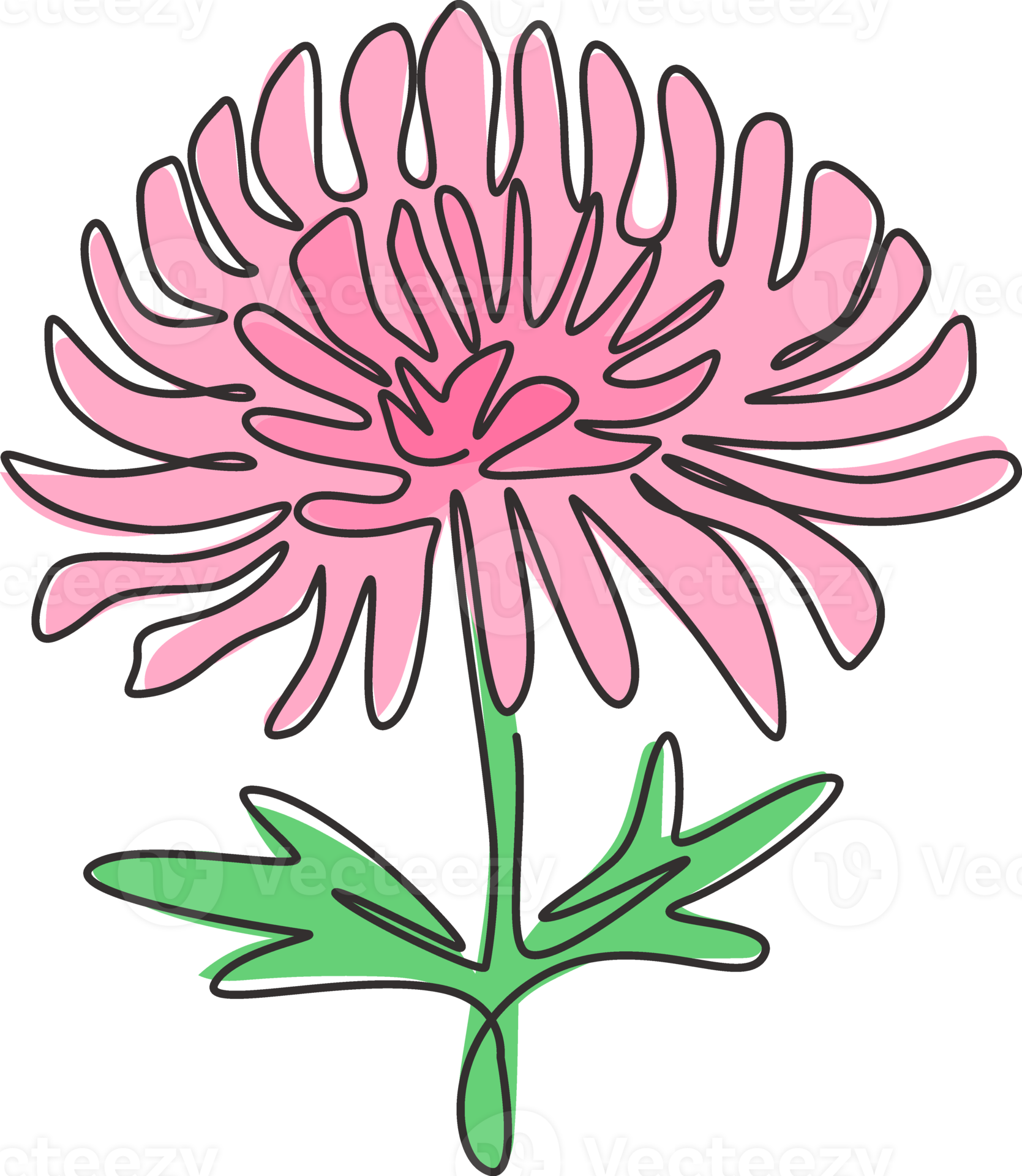 One Single Line Drawing Of Beauty Fresh Chrysanthemum For Home Art Wall