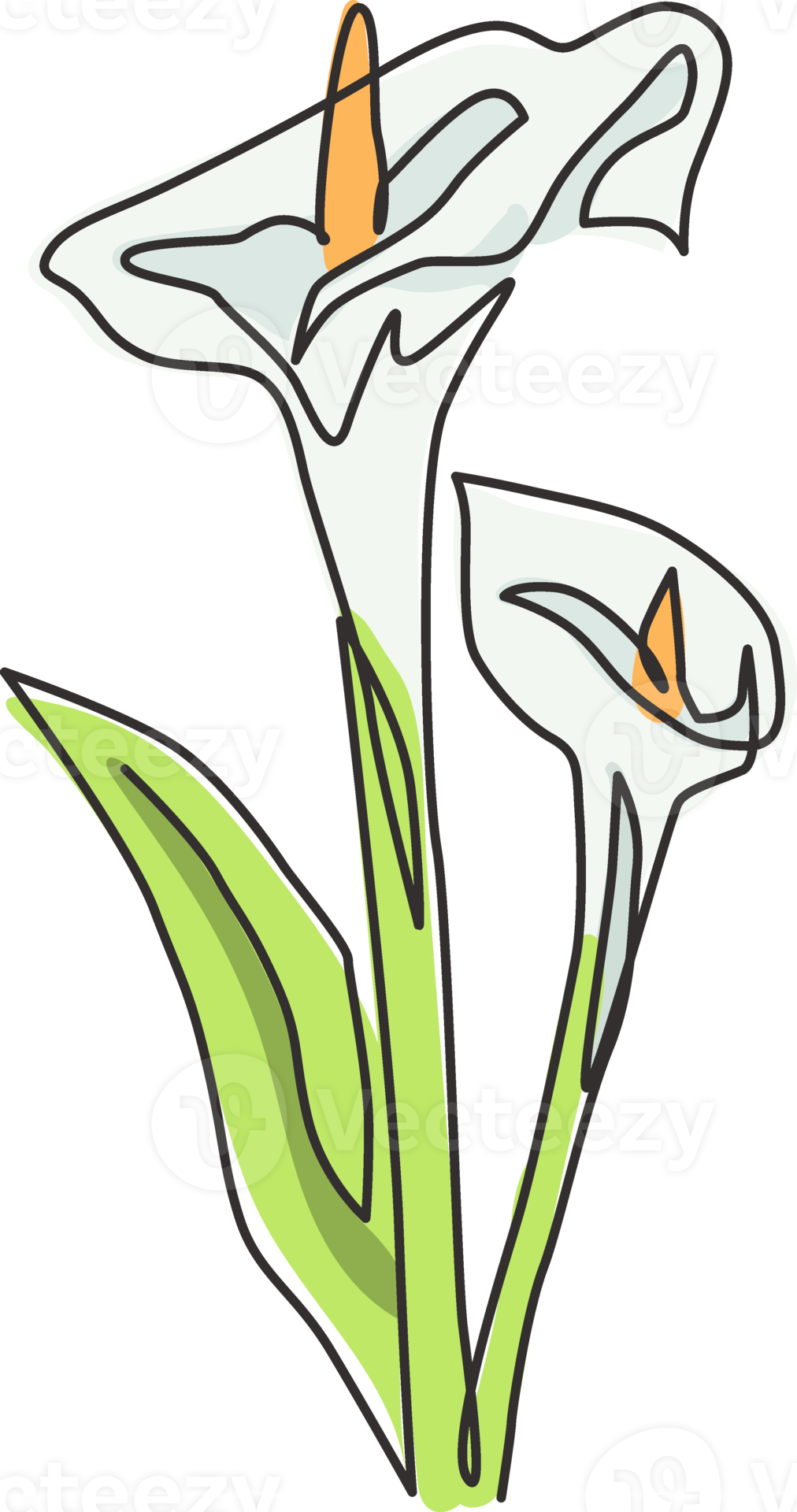 One Continuous Line Drawing Beauty Fresh Zantedeschia For Home Wall