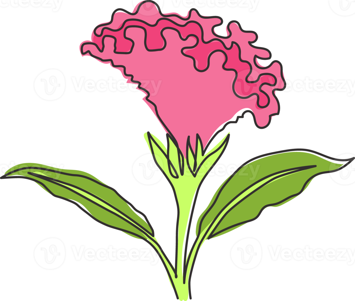 One Continuous Line Drawing Of Beauty Fresh Brain Celosia For Home