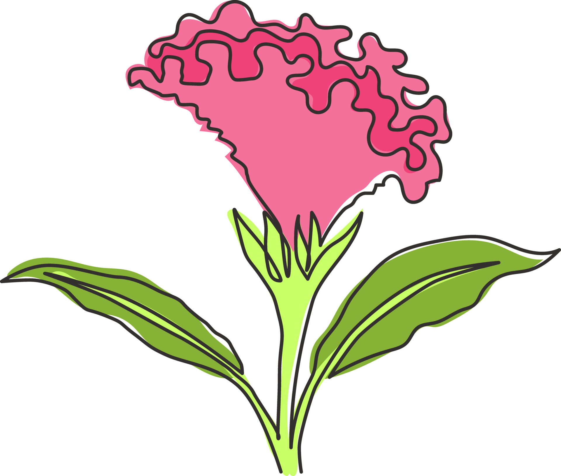 Free Eine Durchgehende Strichzeichnung Von Beauty Fresh Brain Celosia