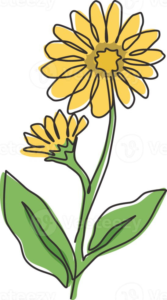 One Continuous Line Drawing Of Beauty Fresh Calendula For Home Decor