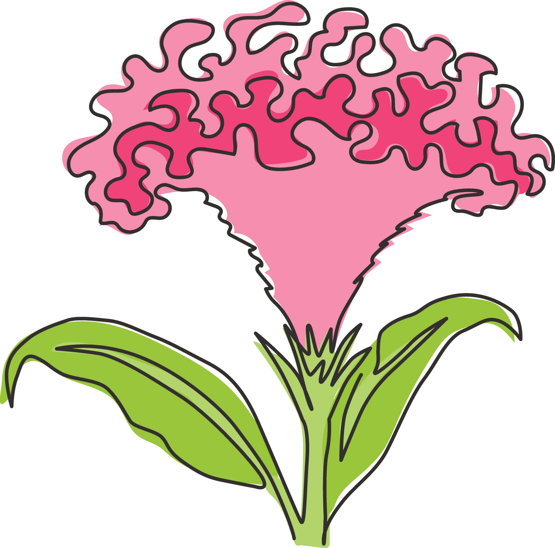 Uma Linha Contínua De Desenho De Beleza Fresco Cérebro Celosia Para