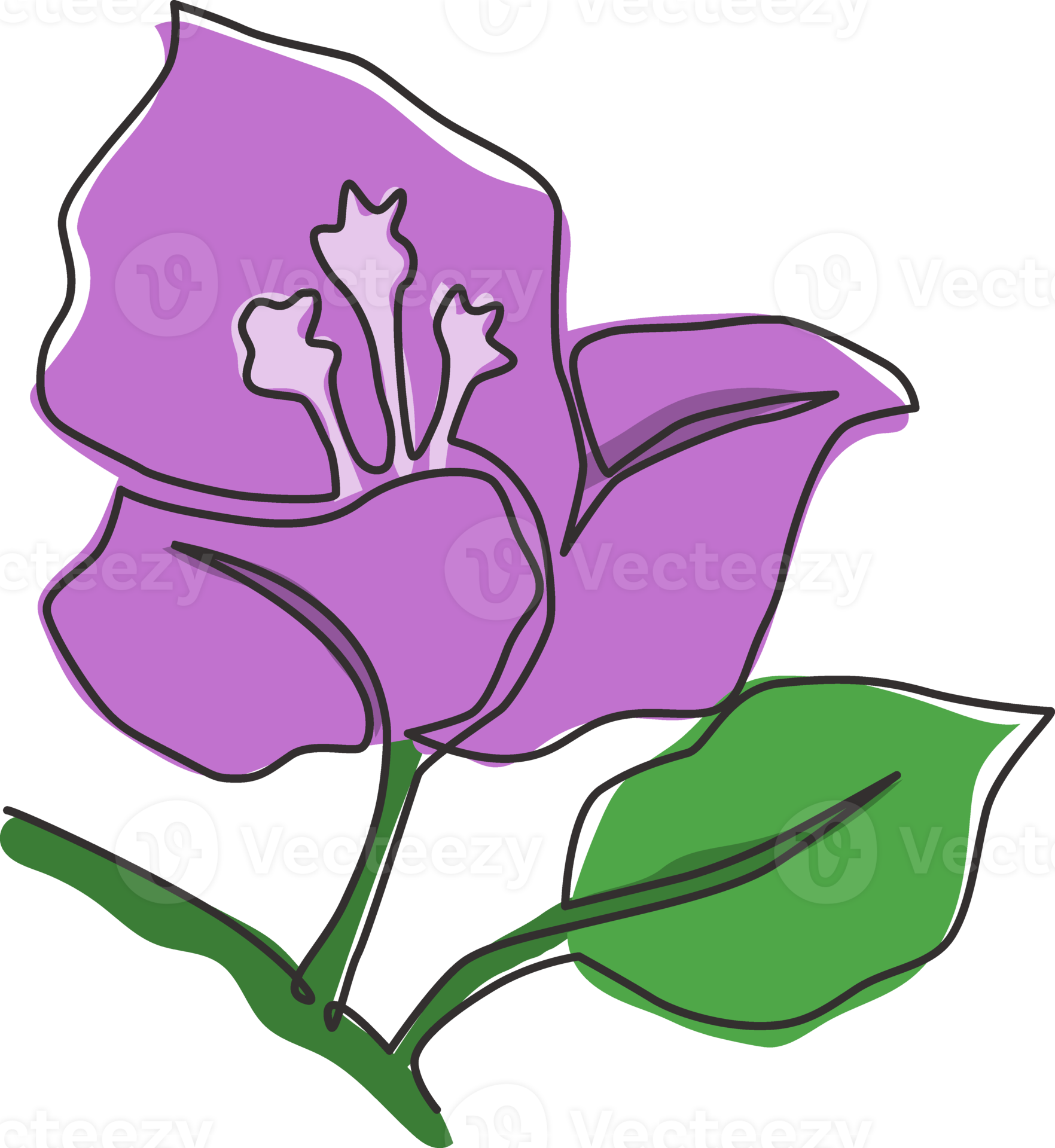 Single Continuous Line Drawing Of Beauty Fresh Bougainville For Home