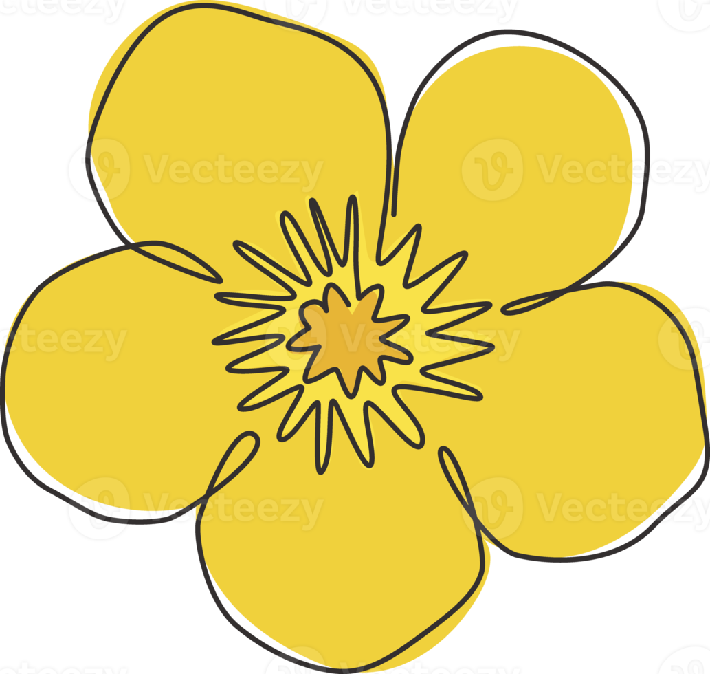 One Continuous Line Drawing Beauty Buttercup Fresh Top View For Home