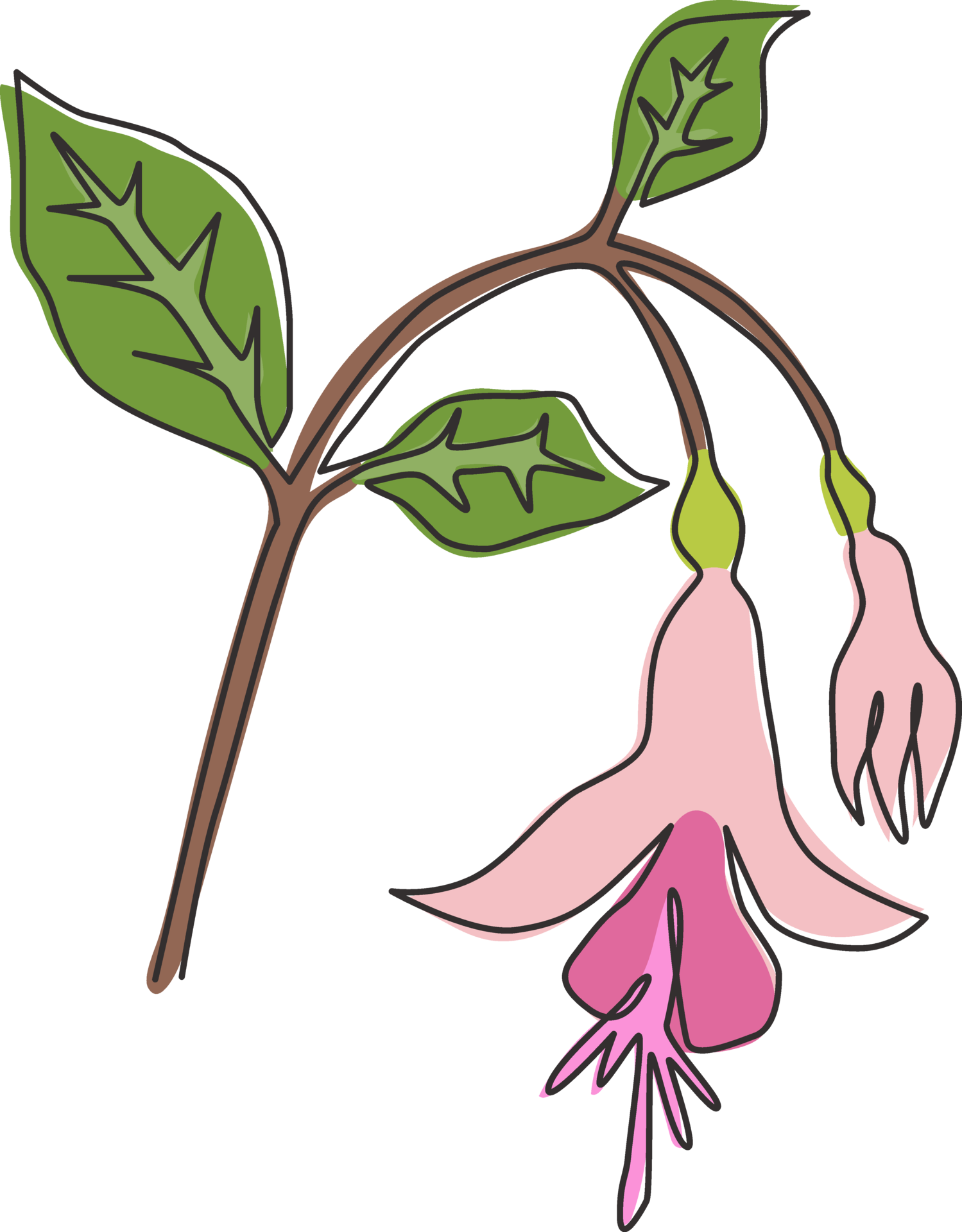 Single One Line Drawing Beauty Fresh Fuchsia For Garden Logo