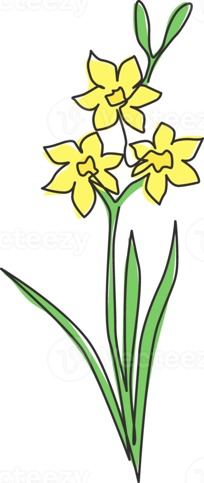 One Continuous Line Drawing Beauty Fresh Narcissus Of Garden Logo