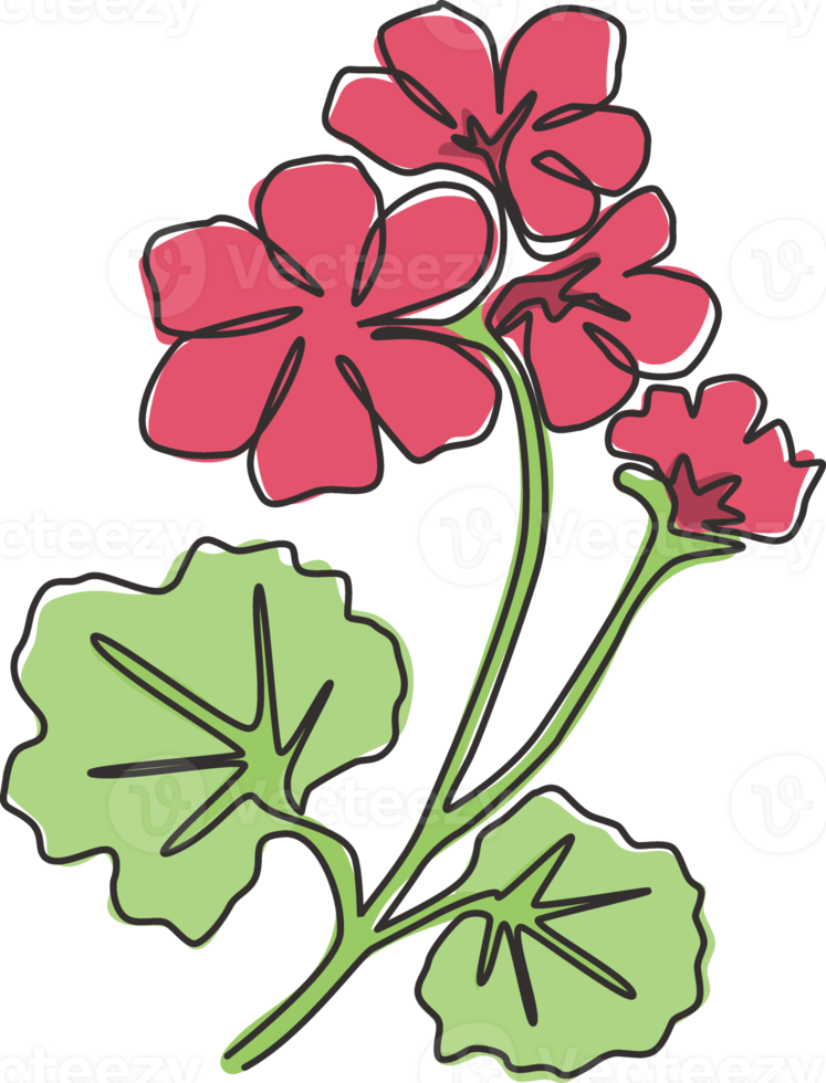 One Single Line Drawing Of Beauty Fresh Geranium For Garden Logo