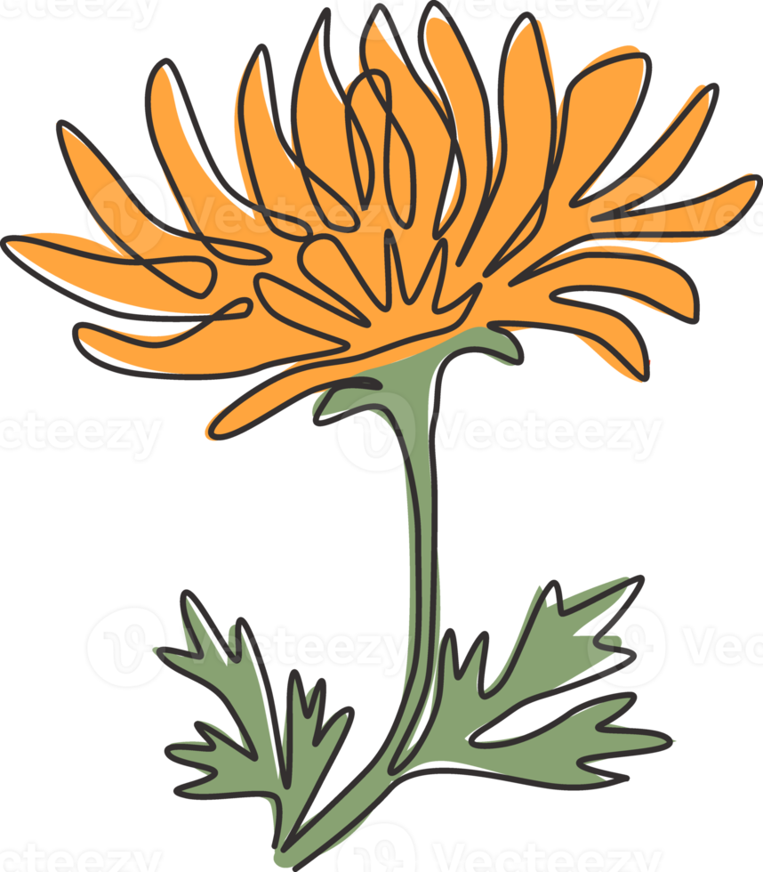 Free One Continuous Line Drawing Beauty Fresh Chrysanthemum For Garden