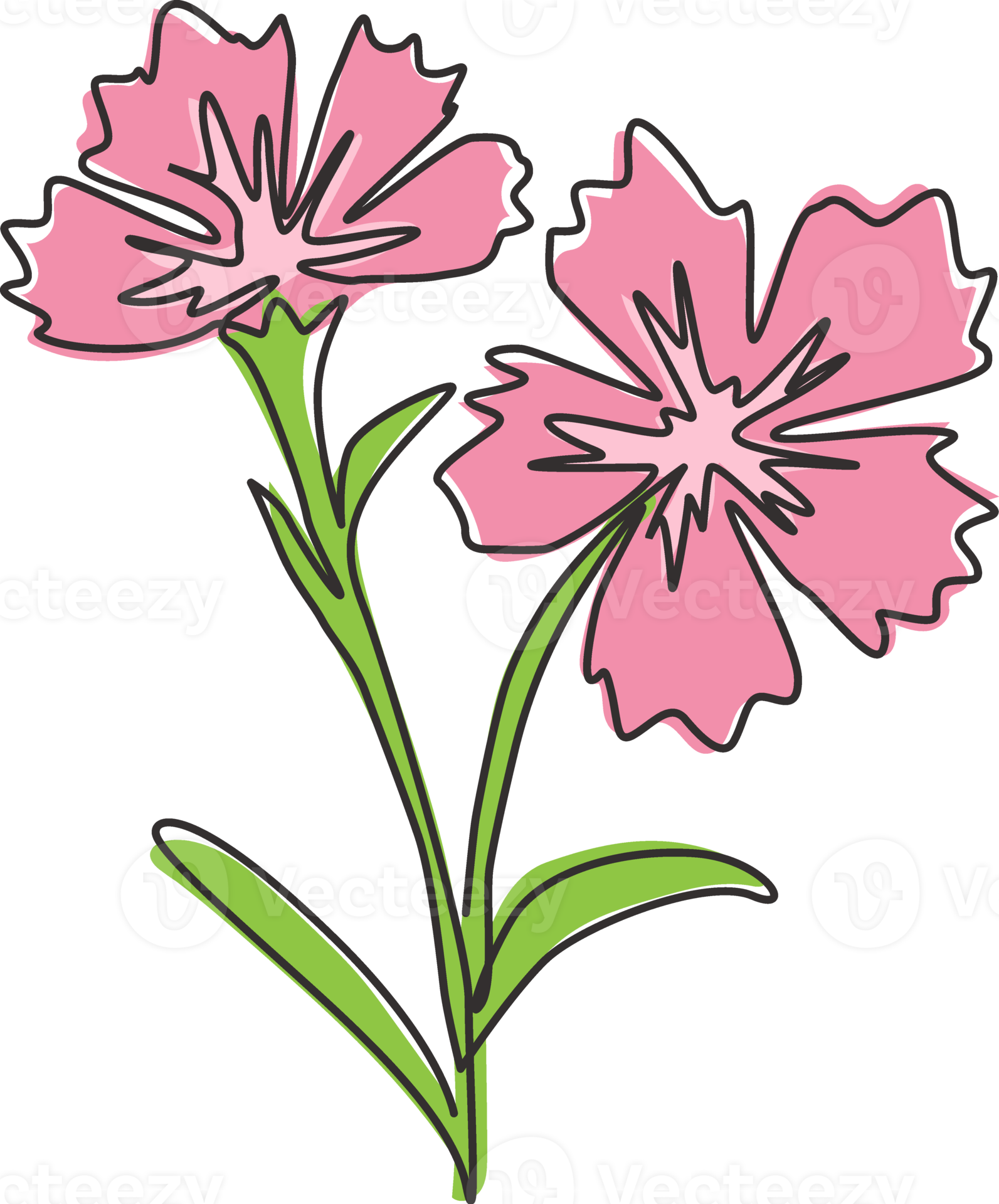 Single One Line Drawing Of Beauty Fresh Dianthus For Home Wall Decor