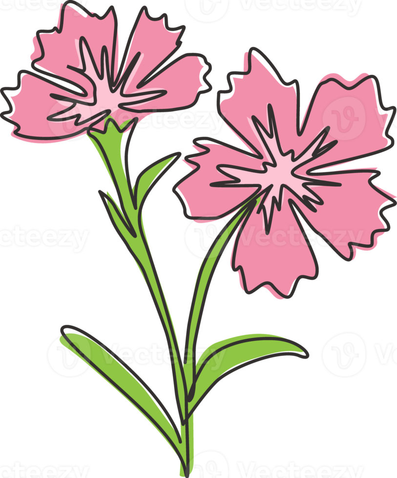 Single One Line Drawing Of Beauty Fresh Dianthus For Home Wall Decor