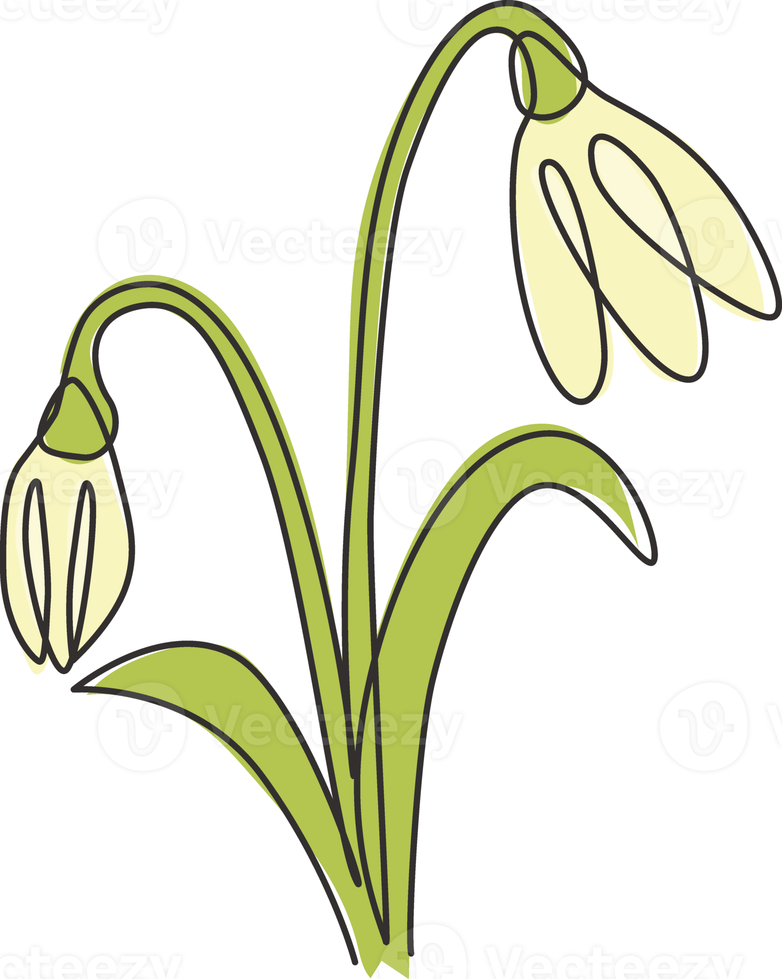 Single Continuous Line Drawing Beauty Fresh Galanthus Of Garden Logo