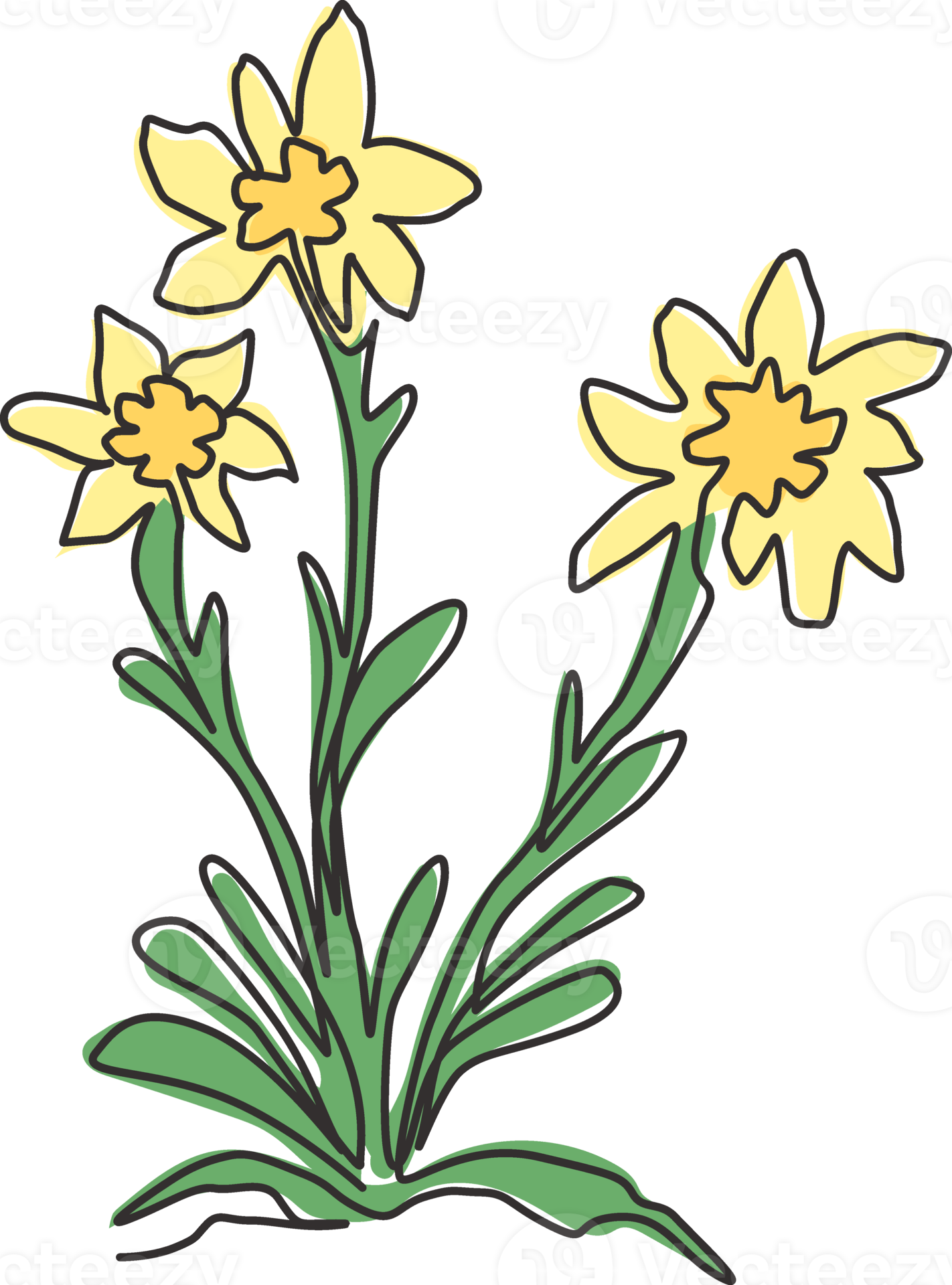One Continuous Line Drawing Beauty And Exotic Leontopodium Plant For