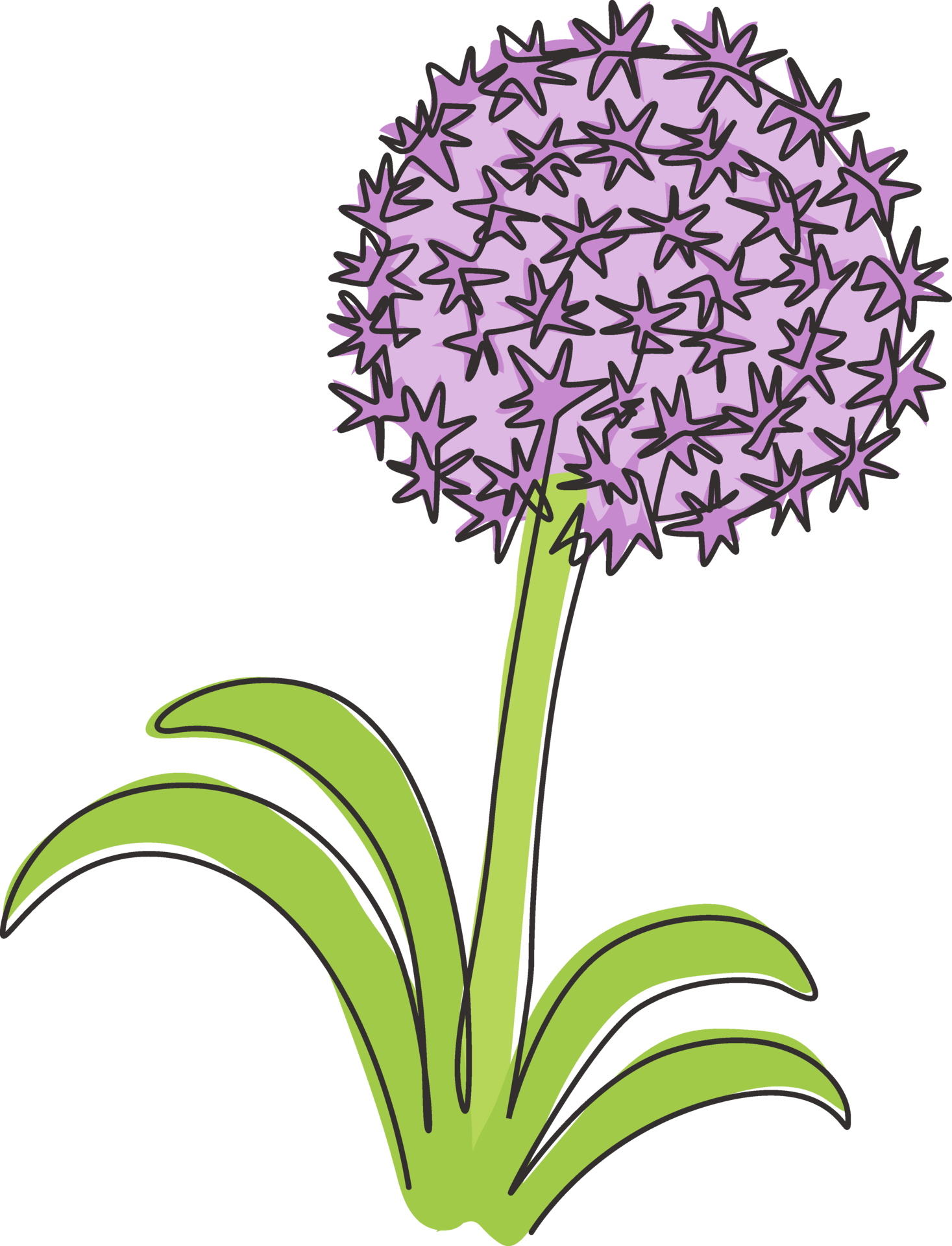 Single Continuous Line Drawing Beauty Fresh Allium Giganteum For Home