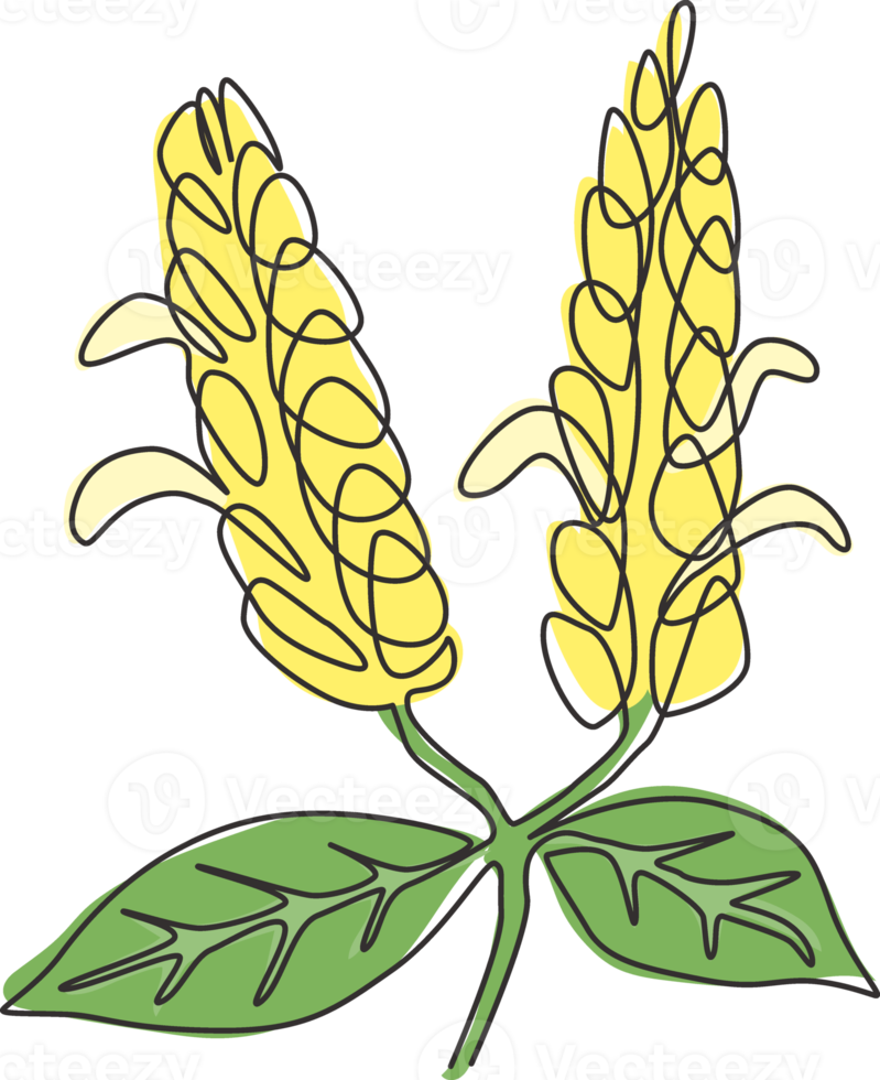 Single One Line Drawing Beauty Fresh Pachystachys Lutea For Garden Logo