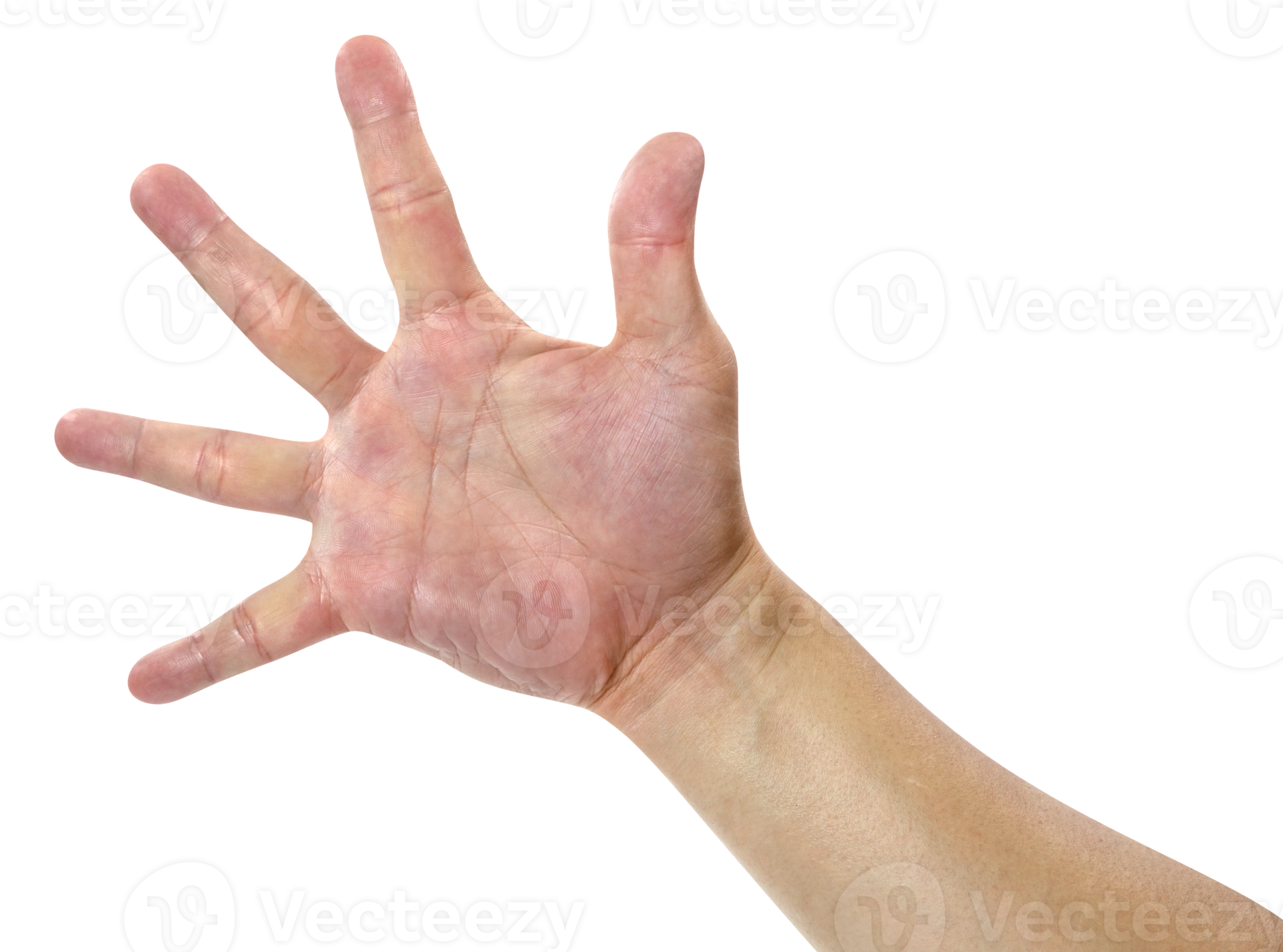 Asians open hand isolated 22643561 PNG