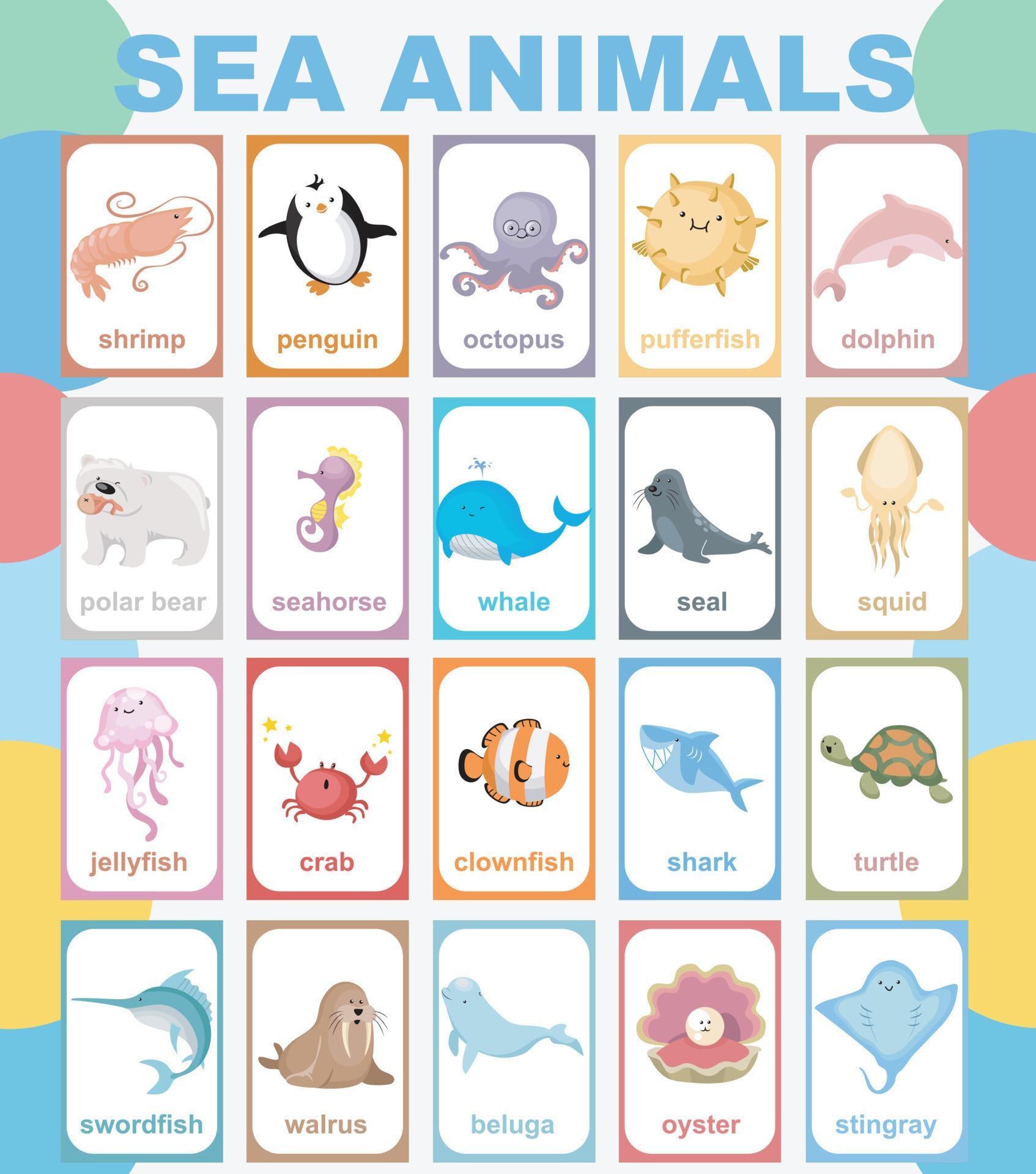 Sea animal poster. Educational printable poster. Vector illustrations ...