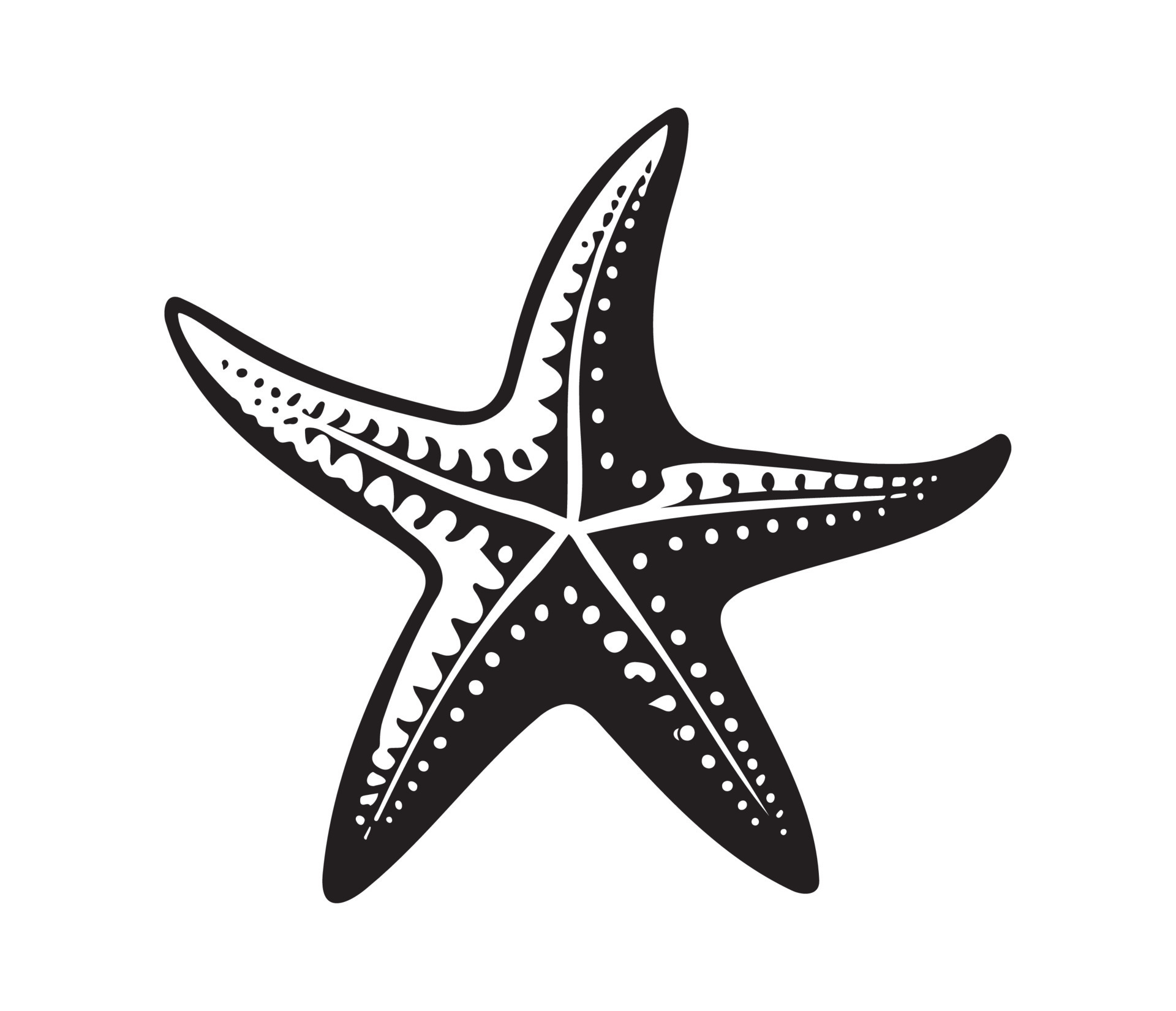 mar estrella pescado marina, ilustración de un estrella de mar 22666985 ... mar estrella pescado marina, ilustración de un estrella de mar 22666985 ...