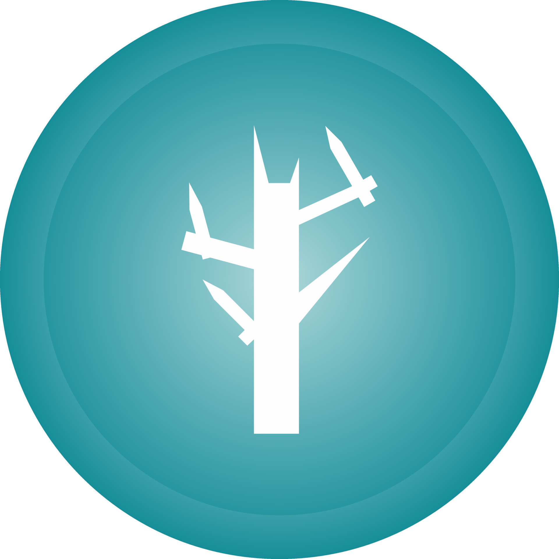 Tree With No Leaves Vector Icon 22668556 Vector Art At Vecteezy tree-with-no-leaves-vector-icon-22668556-vector-art-at-vecteezy