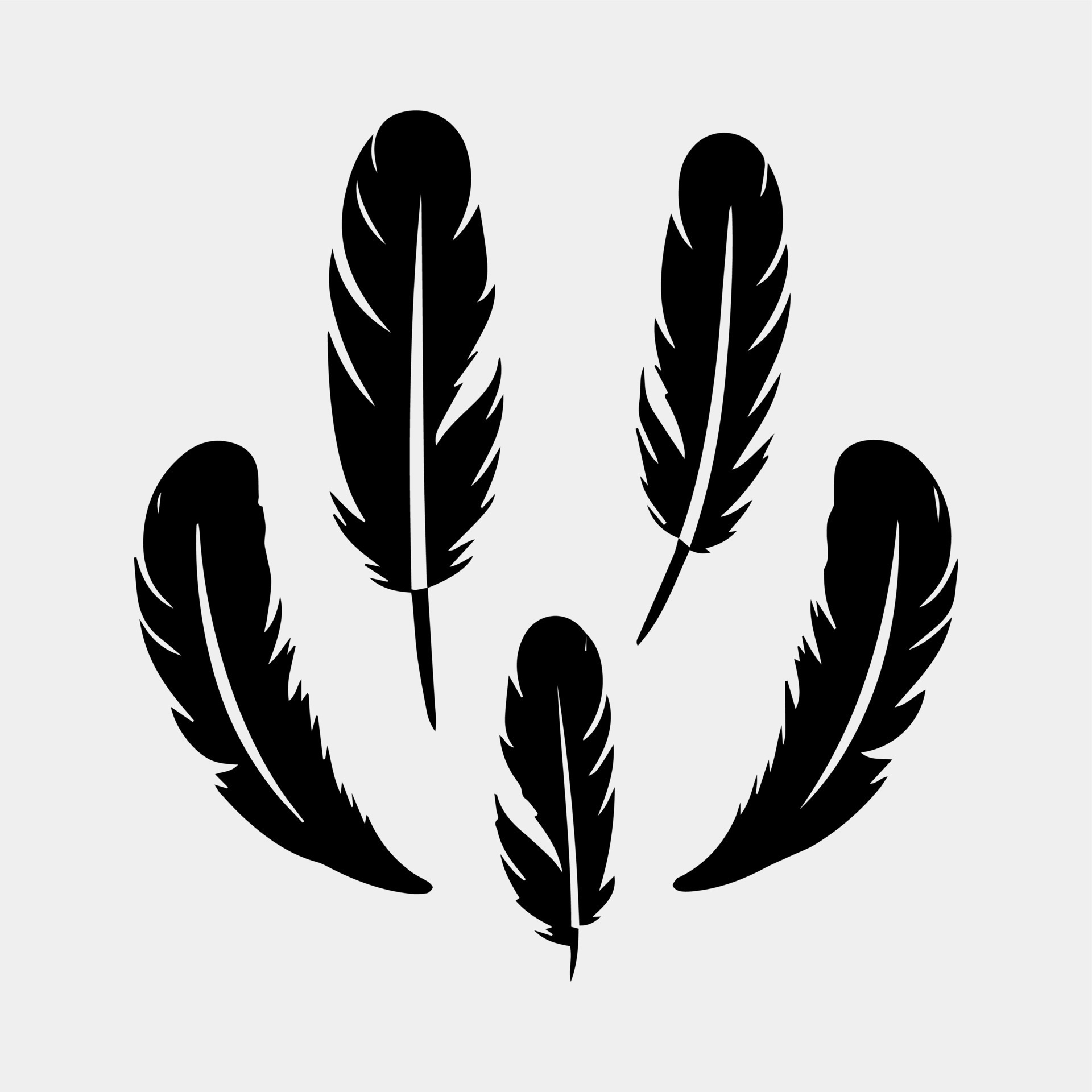 set of feathers vector design 22693777 Vector Art at Vecteezy