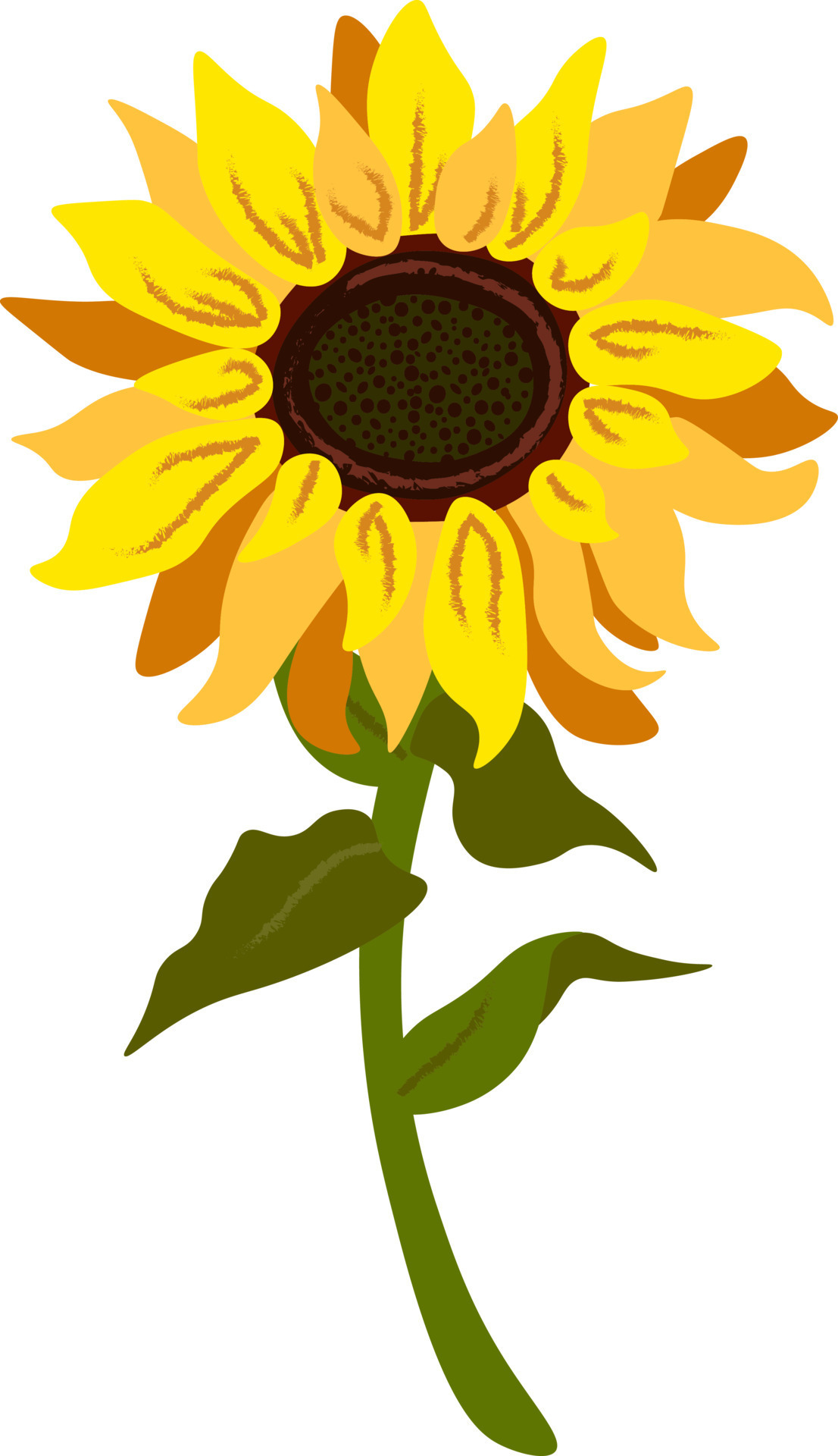 Sunflower vector individual element 22697607 Vector Art at Vecteezy