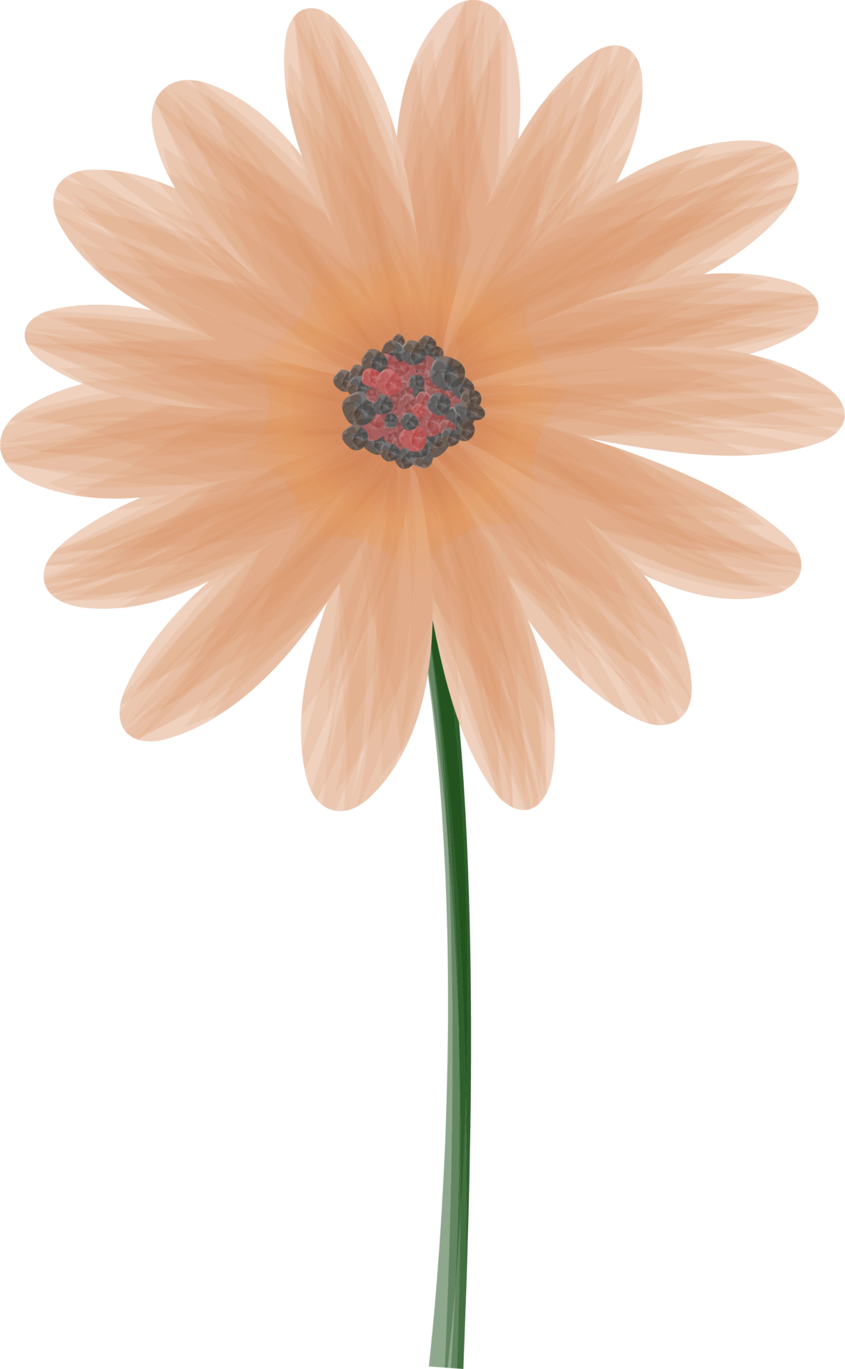 Abstract art cosmos, daisy flower 22715717 PNG Abstract art cosmos, daisy flower 22715717 PNG