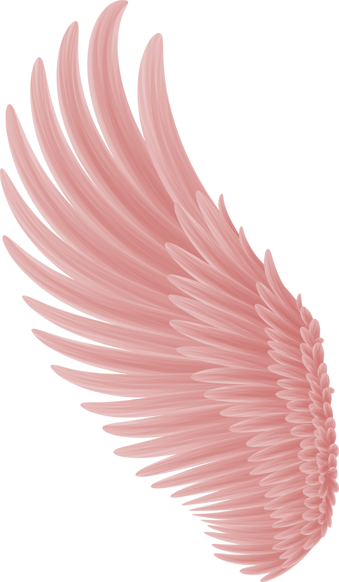 abstract angel wings 22715732 PNG