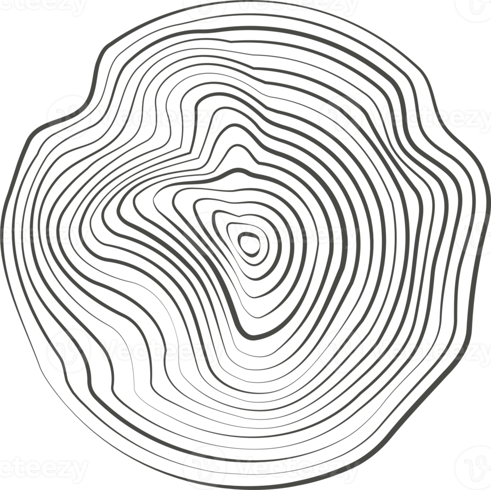 Topography Line Circles Tree Rings Organic Pattern Nature Wavy Contour Shape Topographic Icon