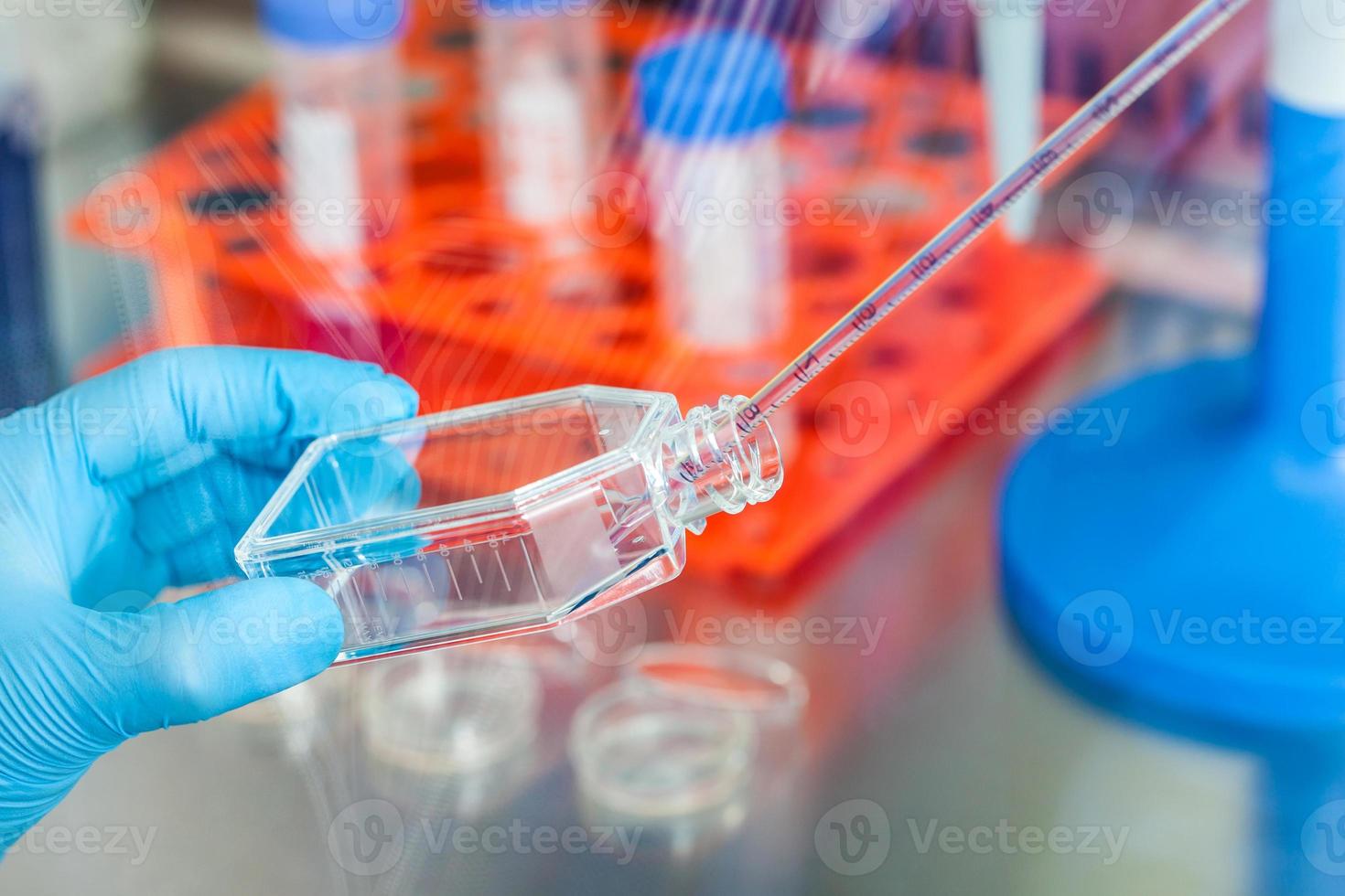 Scientist Working With A Cell Culture Flask Under Sterile Hood At Laboratory 22750173 Stock