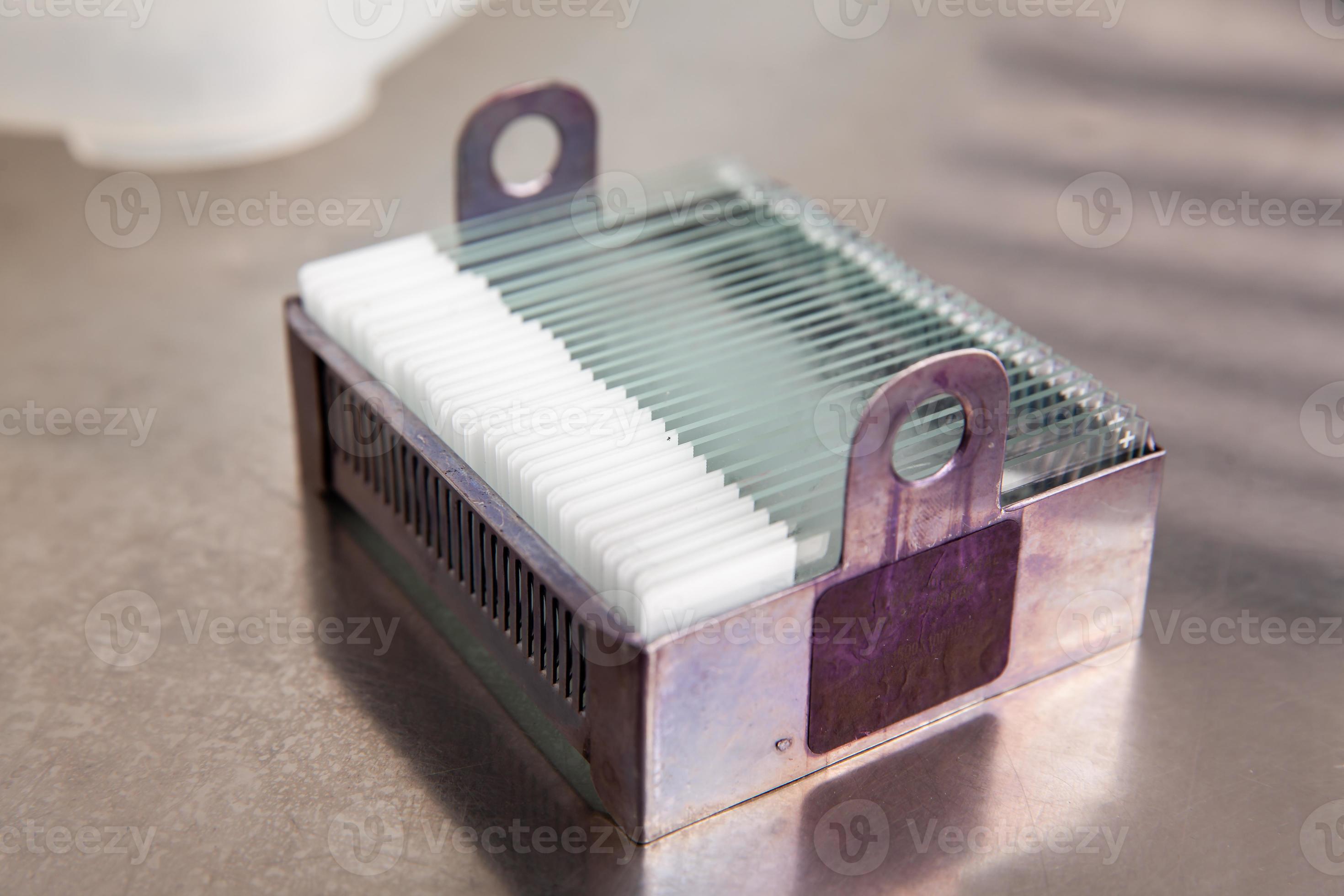 Slides with paraffin embedded tissue samples into a slide staining rack ... Slides with paraffin embedded tissue samples into a slide staining rack ...