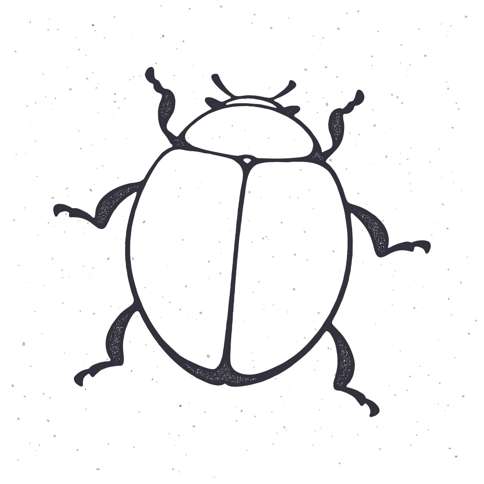 Outline of bug top view. Insect in nature. Vector illustration. Hand ... Outline of bug top view. Insect in nature. Vector illustration. Hand ...